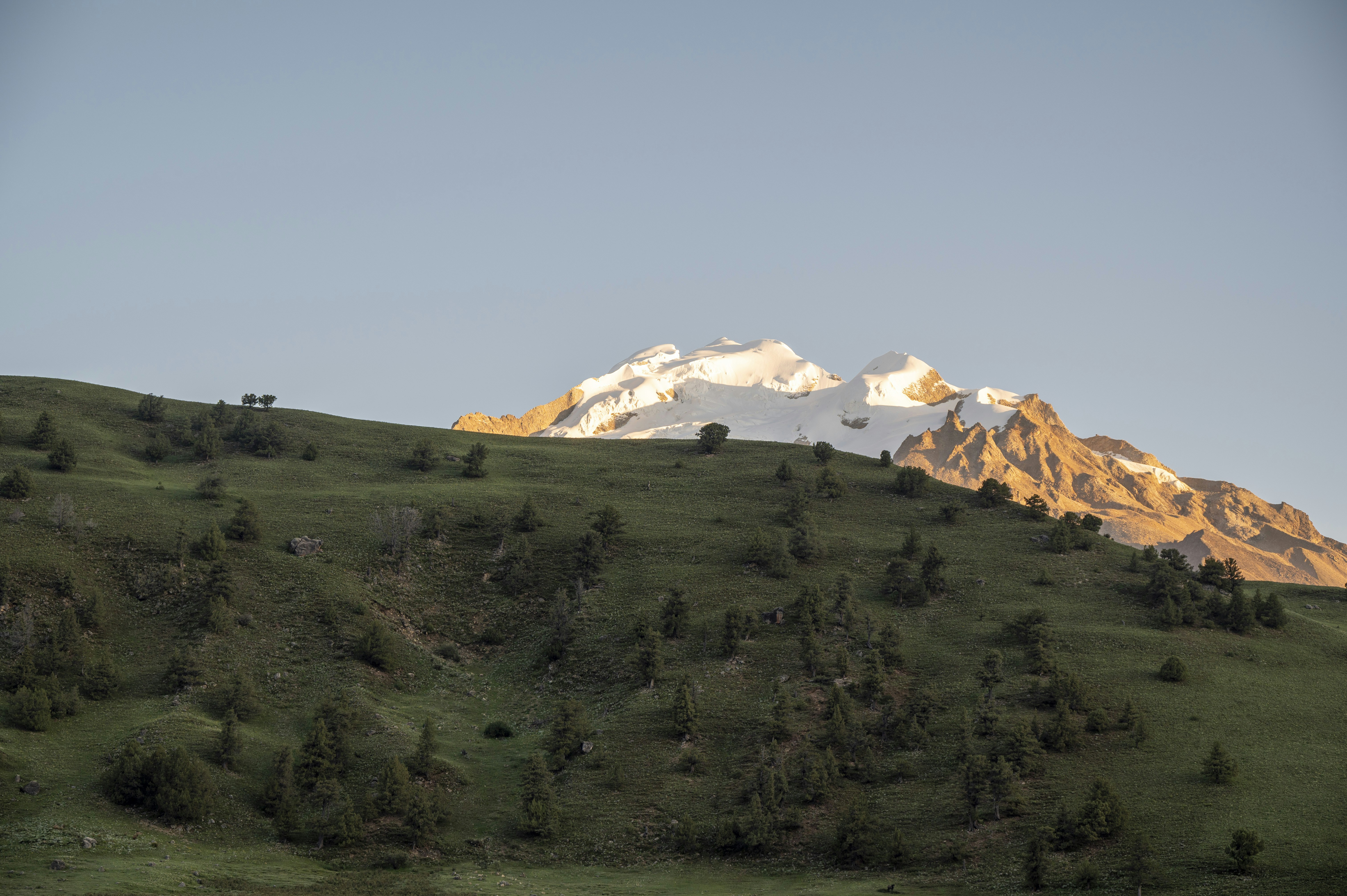 Golden Peak Crest over a Velvet Green Knoll