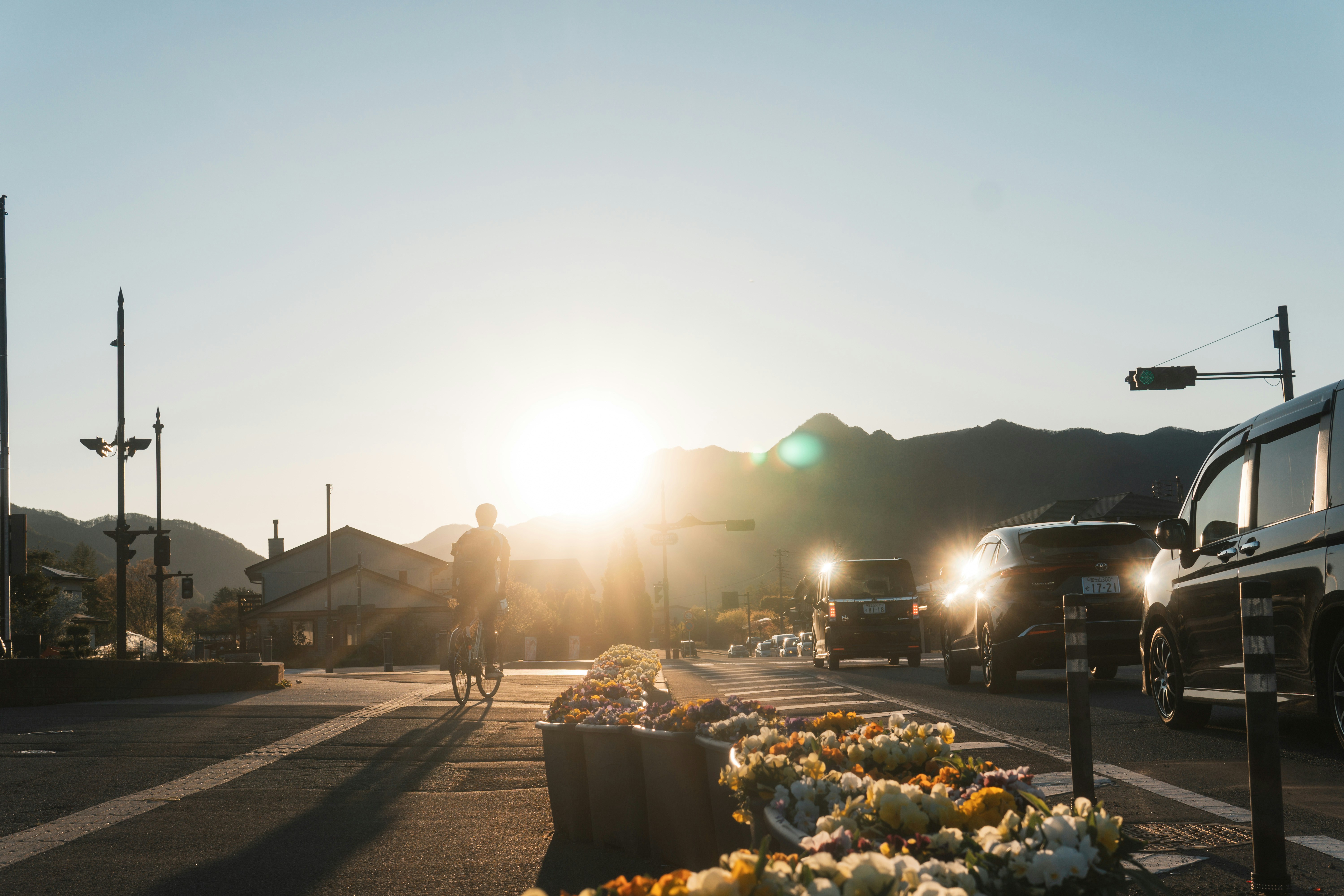 Sunlit Boulevard: A Quiet Moment Among Flowers and Traffic