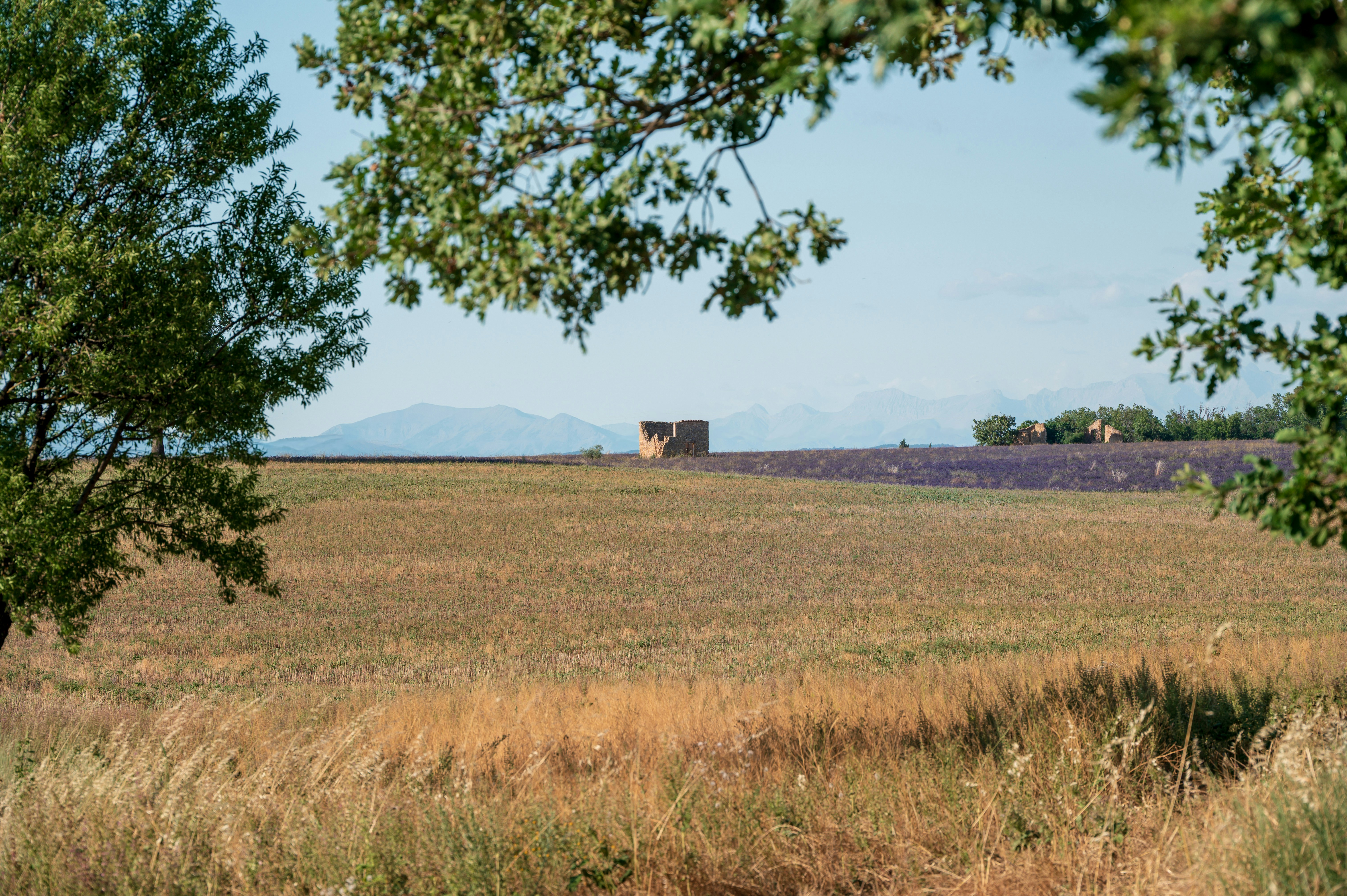 Quiet Farmland with Distant Structure under Open Sky