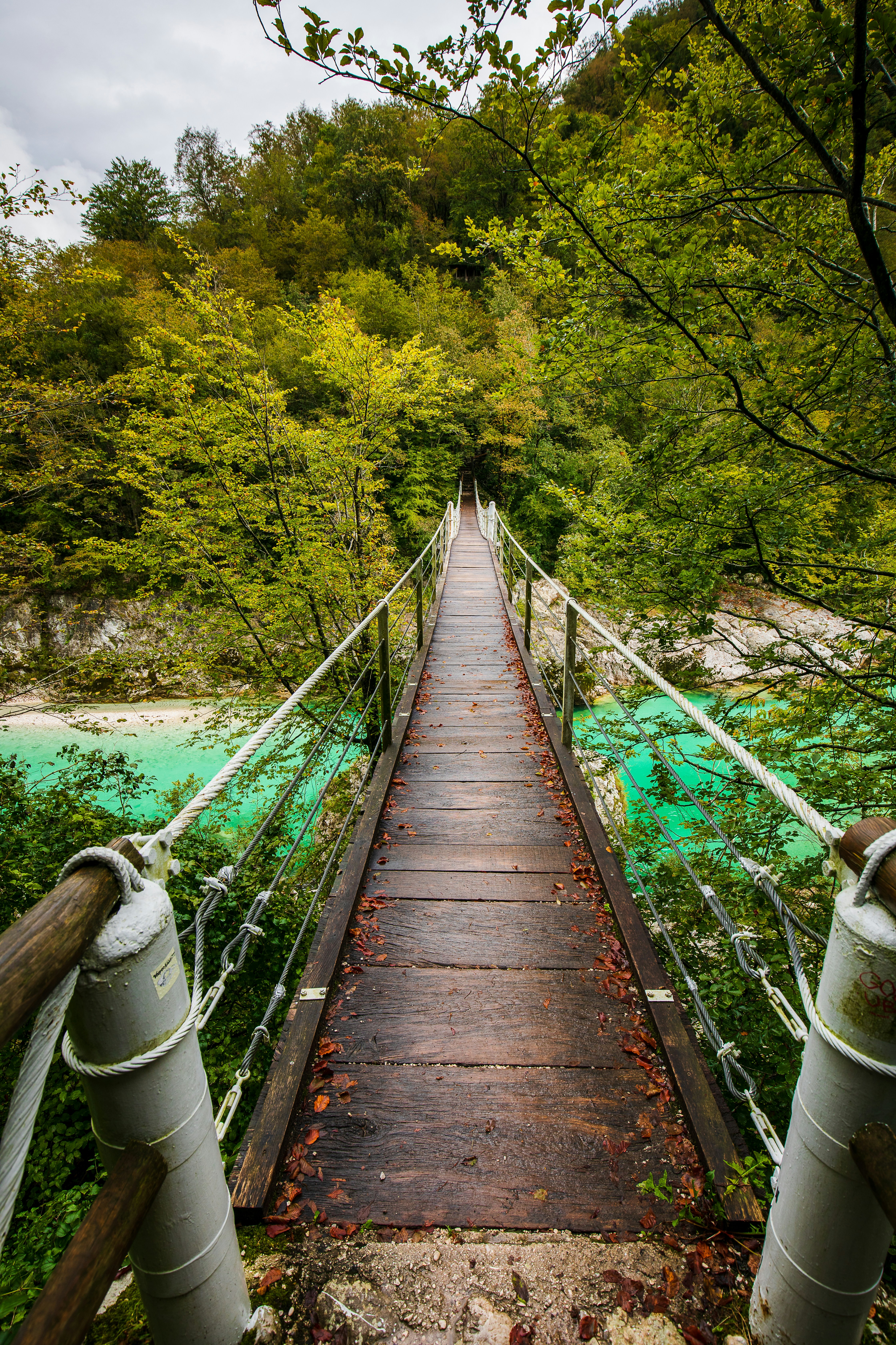 Suspended Path Through Emerald Gorge