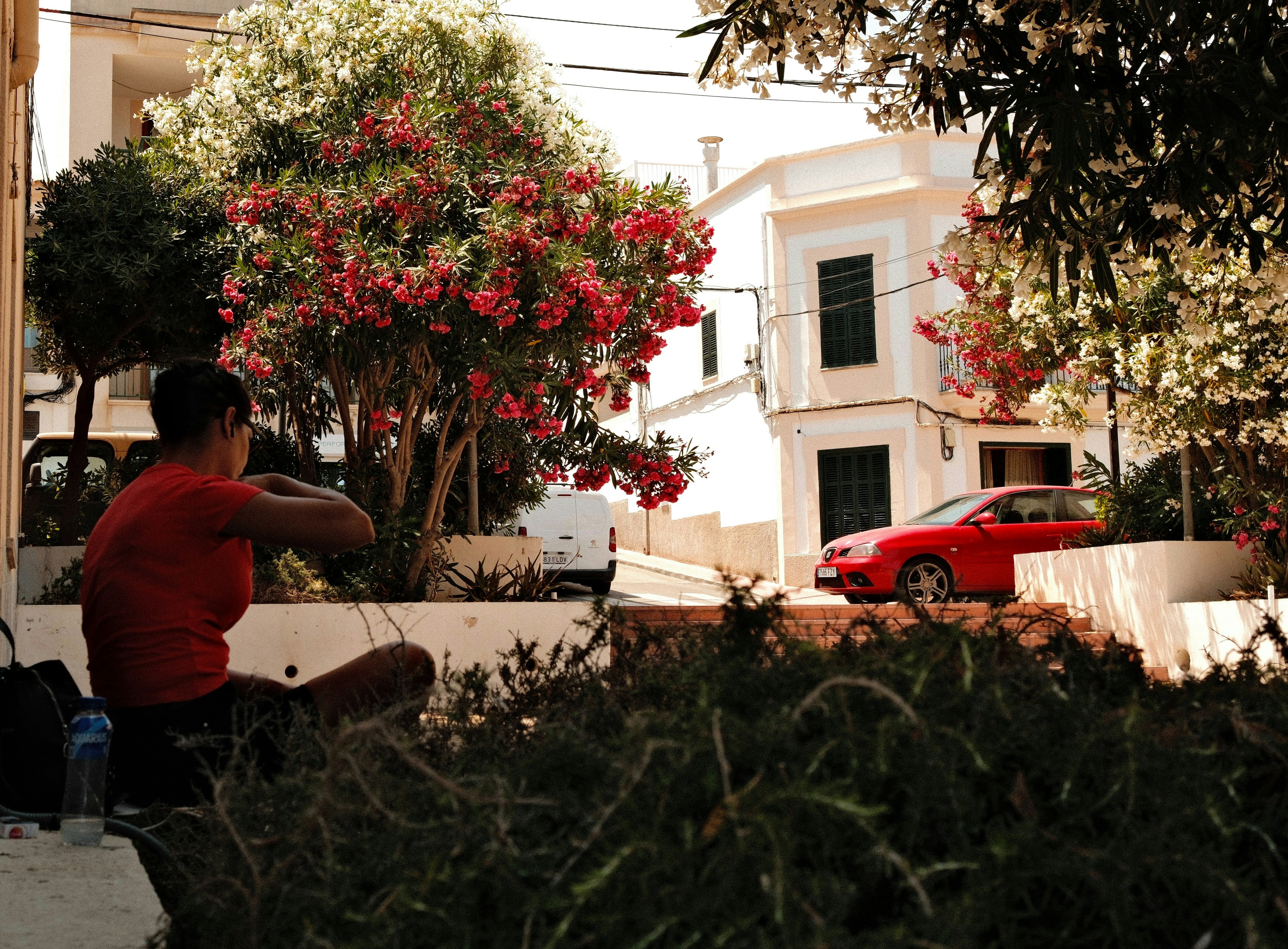 Shade, Street, and Bloom: A Quiet Moment in the Town