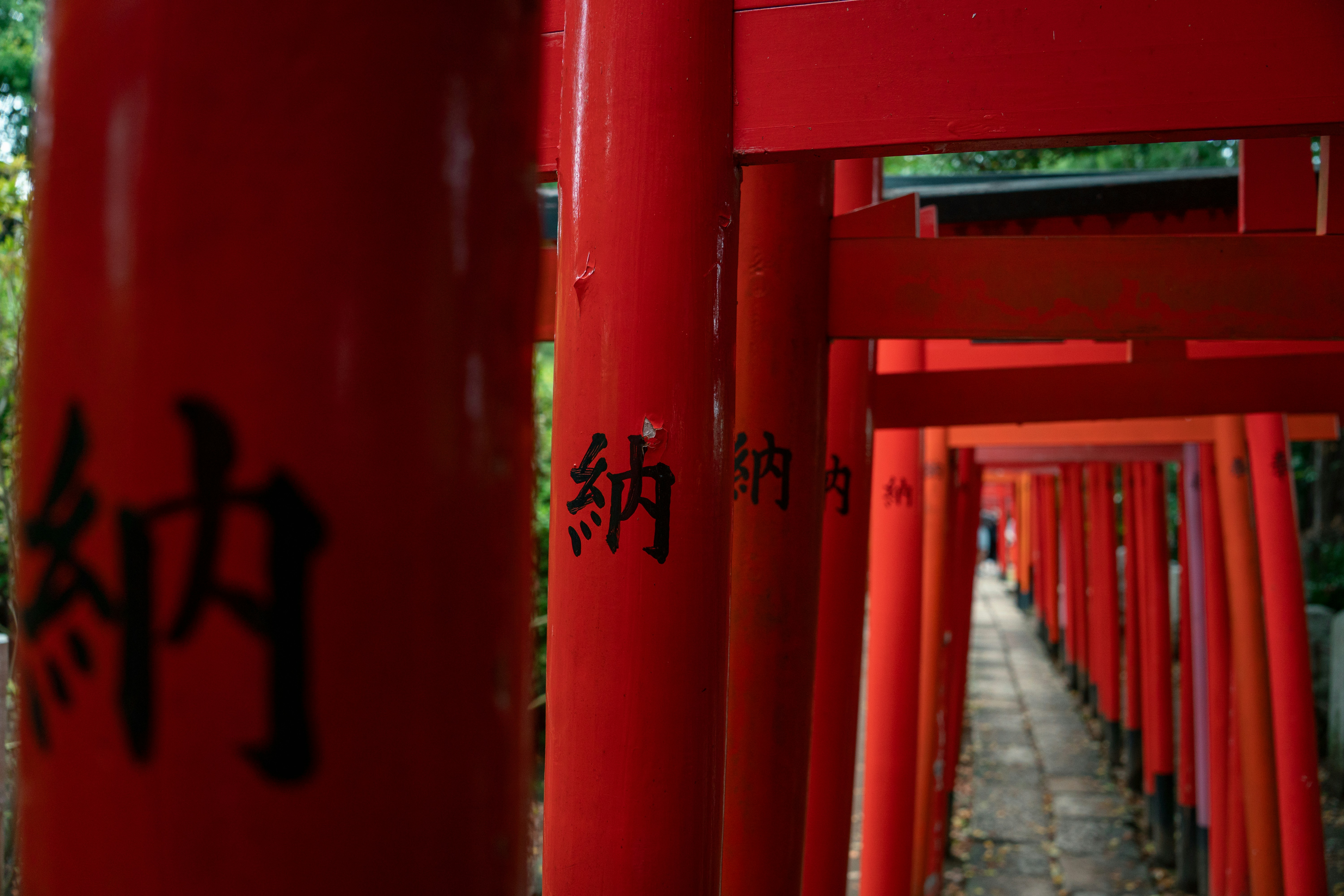 Red Gate Corridor: A Row of Torii Vanishing into the Distance