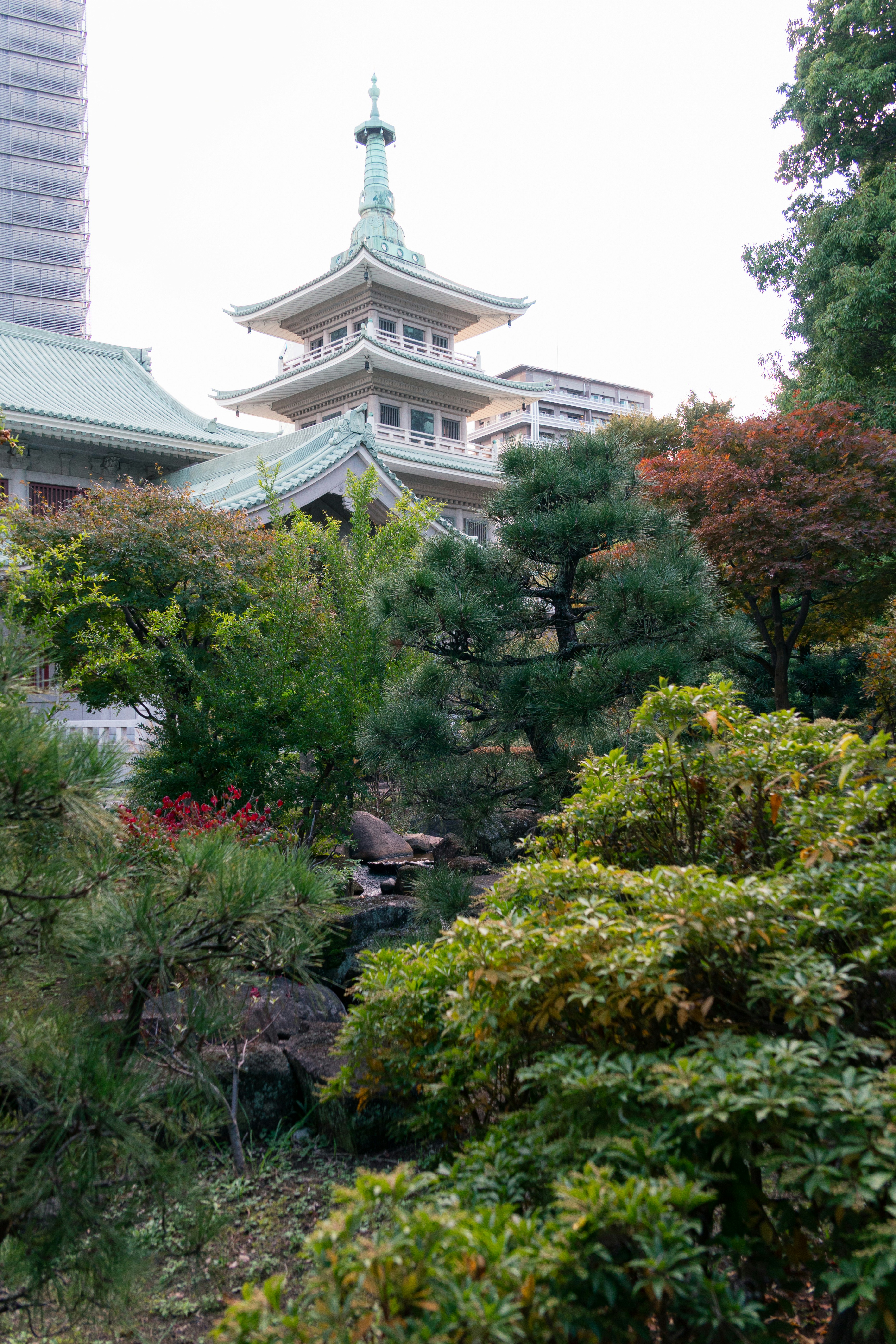 Temple Pagoda Amid a Tea Garden: Autumn hush in urban Seoul