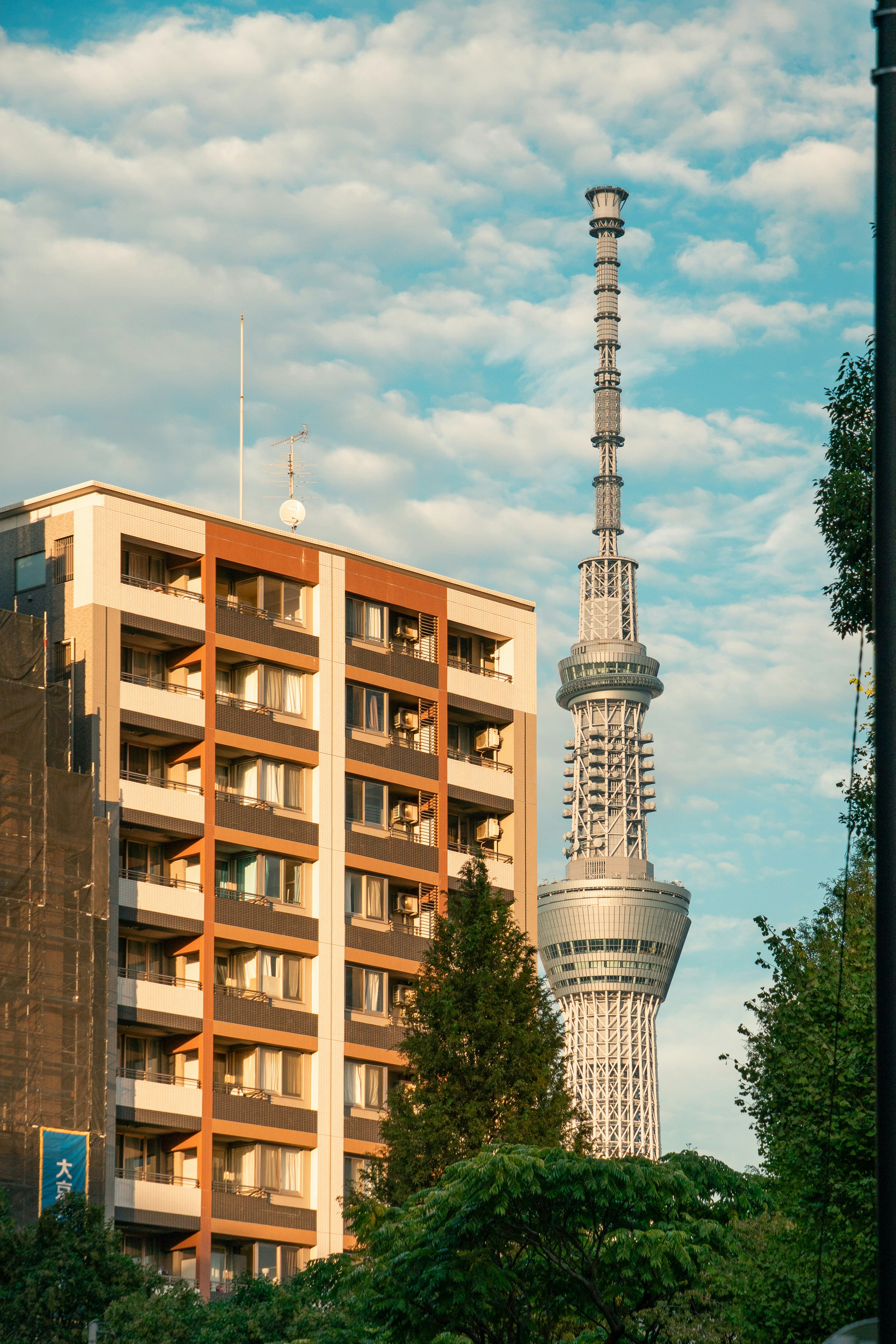Tokyo Tower Rising Behind a Urban Terrace