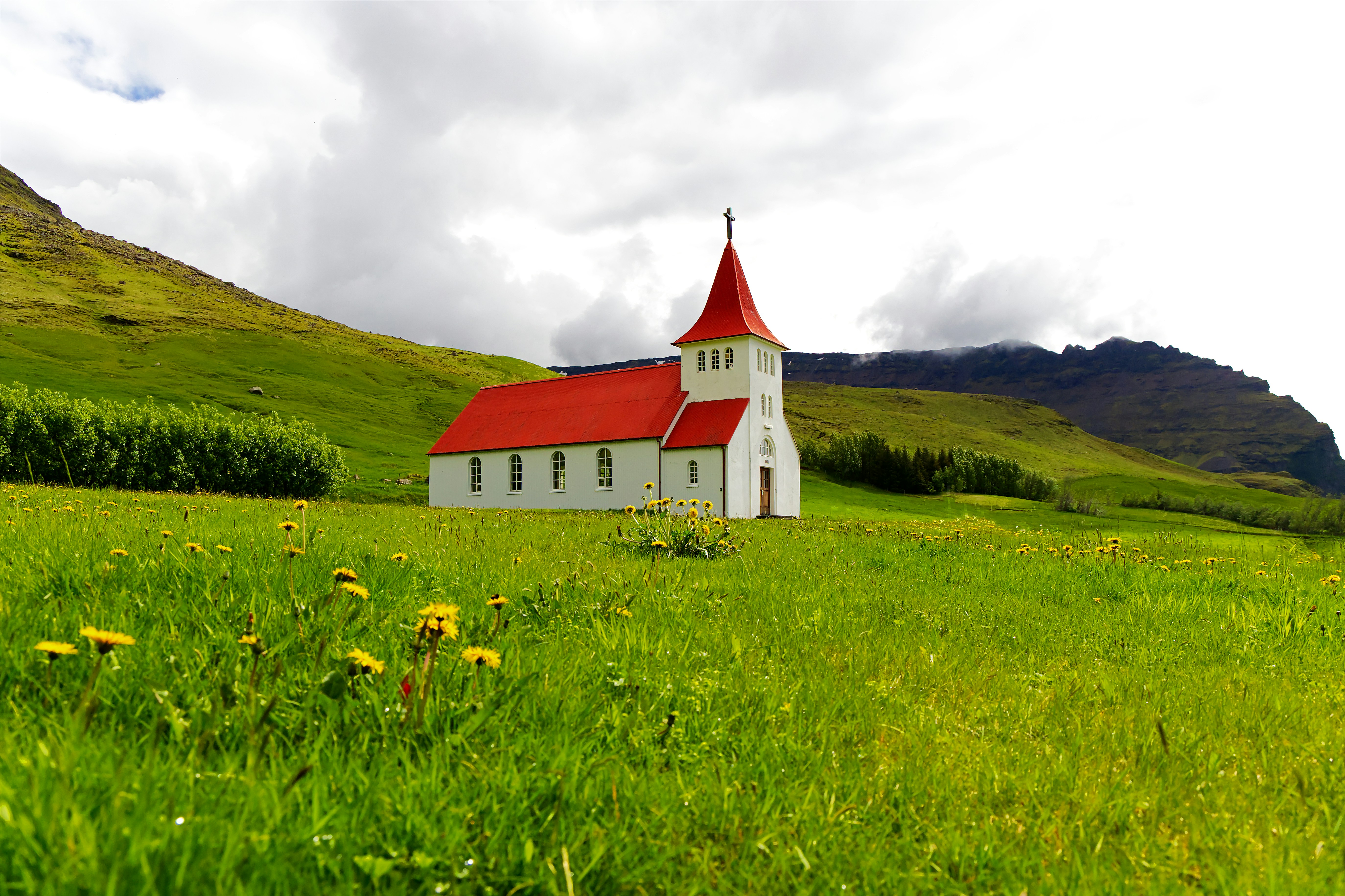Red-roofed Church in a Golden Meadow