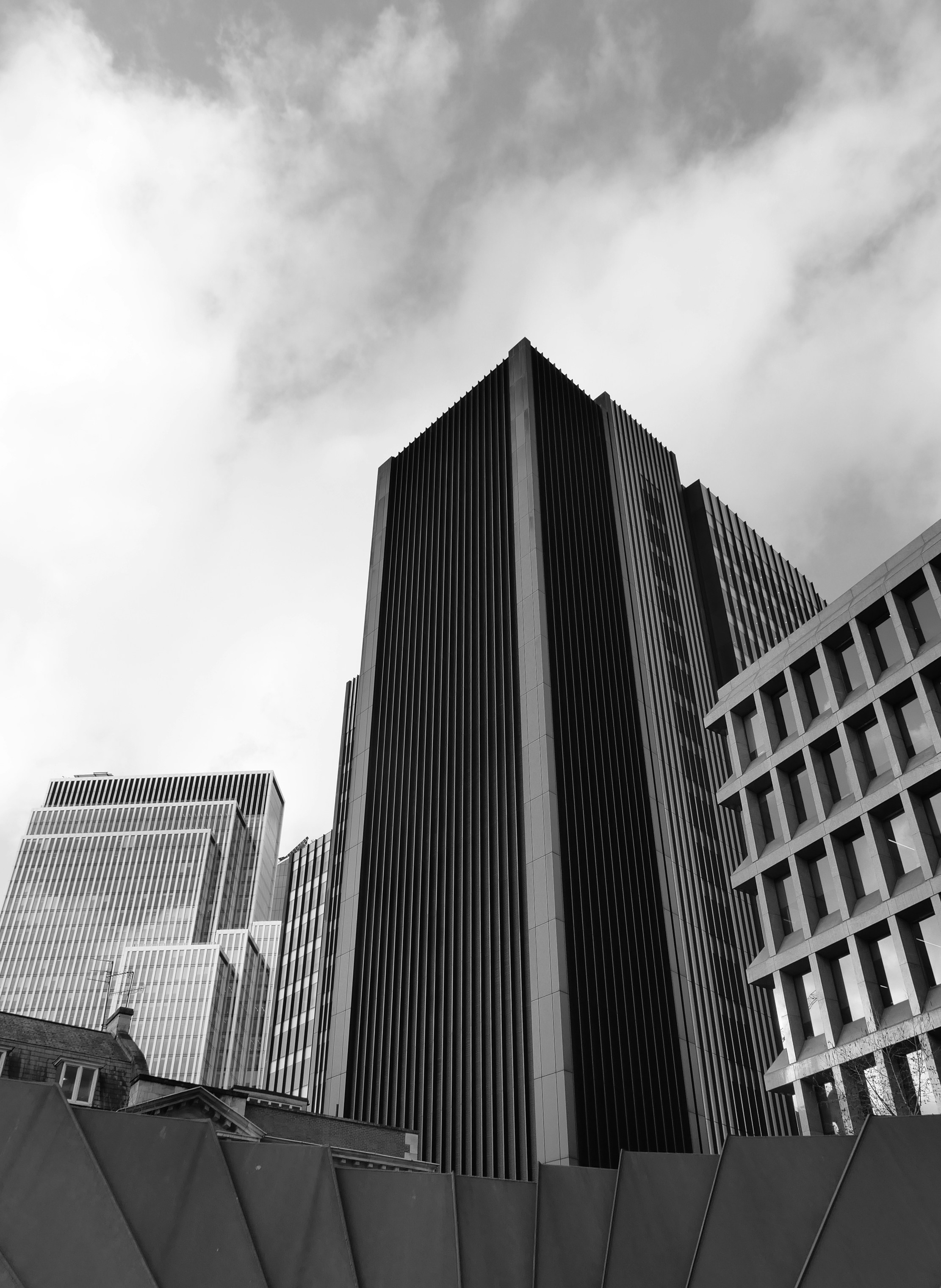 Vertical City: Skyscrapers Ascend into a Quiet Sky