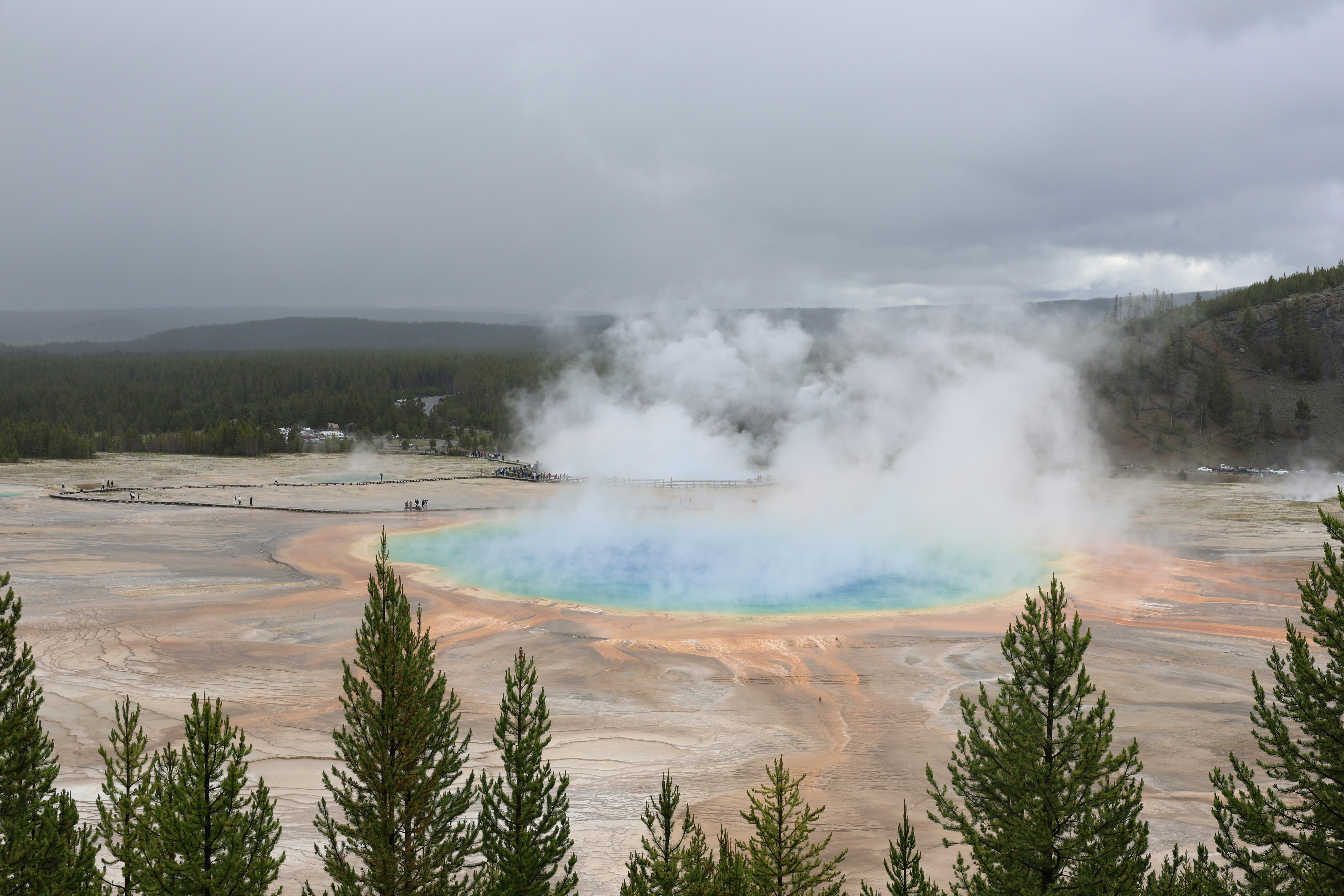 Centered Bloom: Grand Hot Spring in the Plaid of Pines