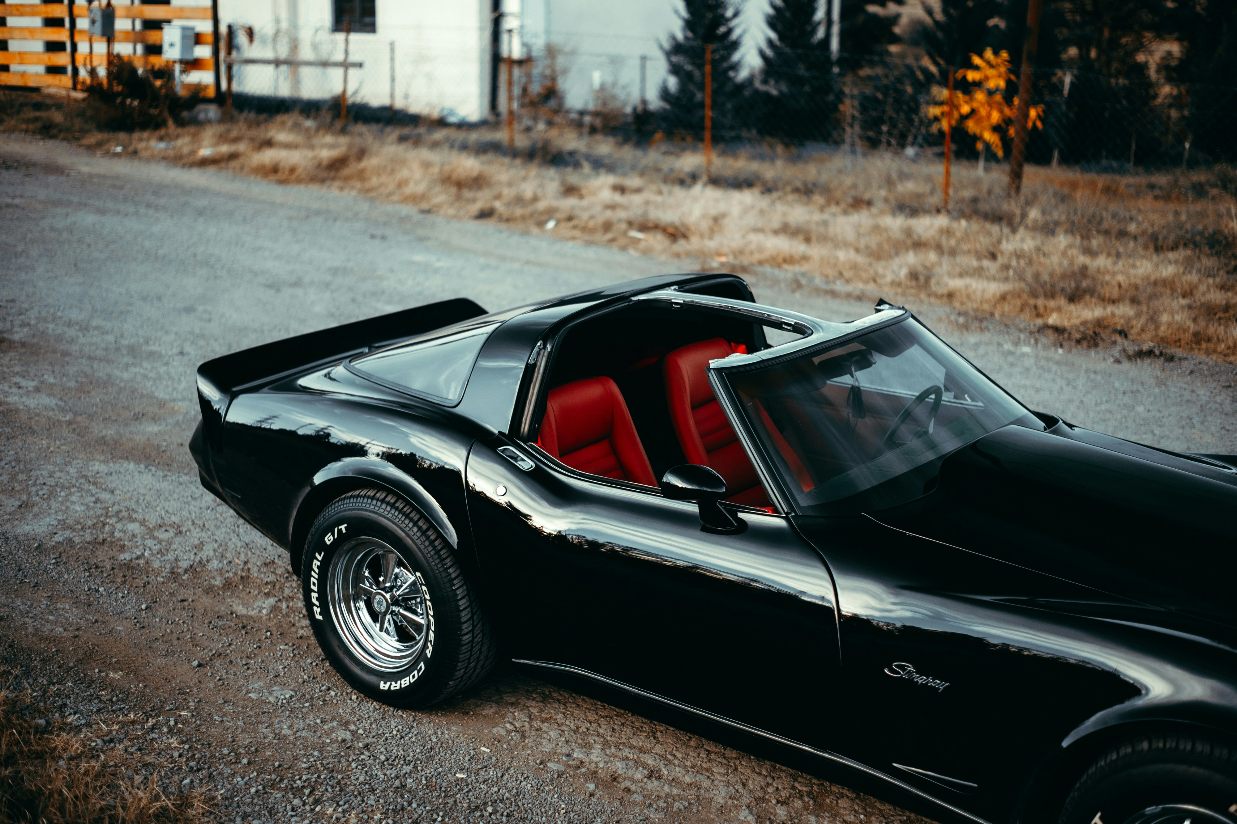 Midnight Power: Red Interior and Chrome Curves of a Classic Shadow