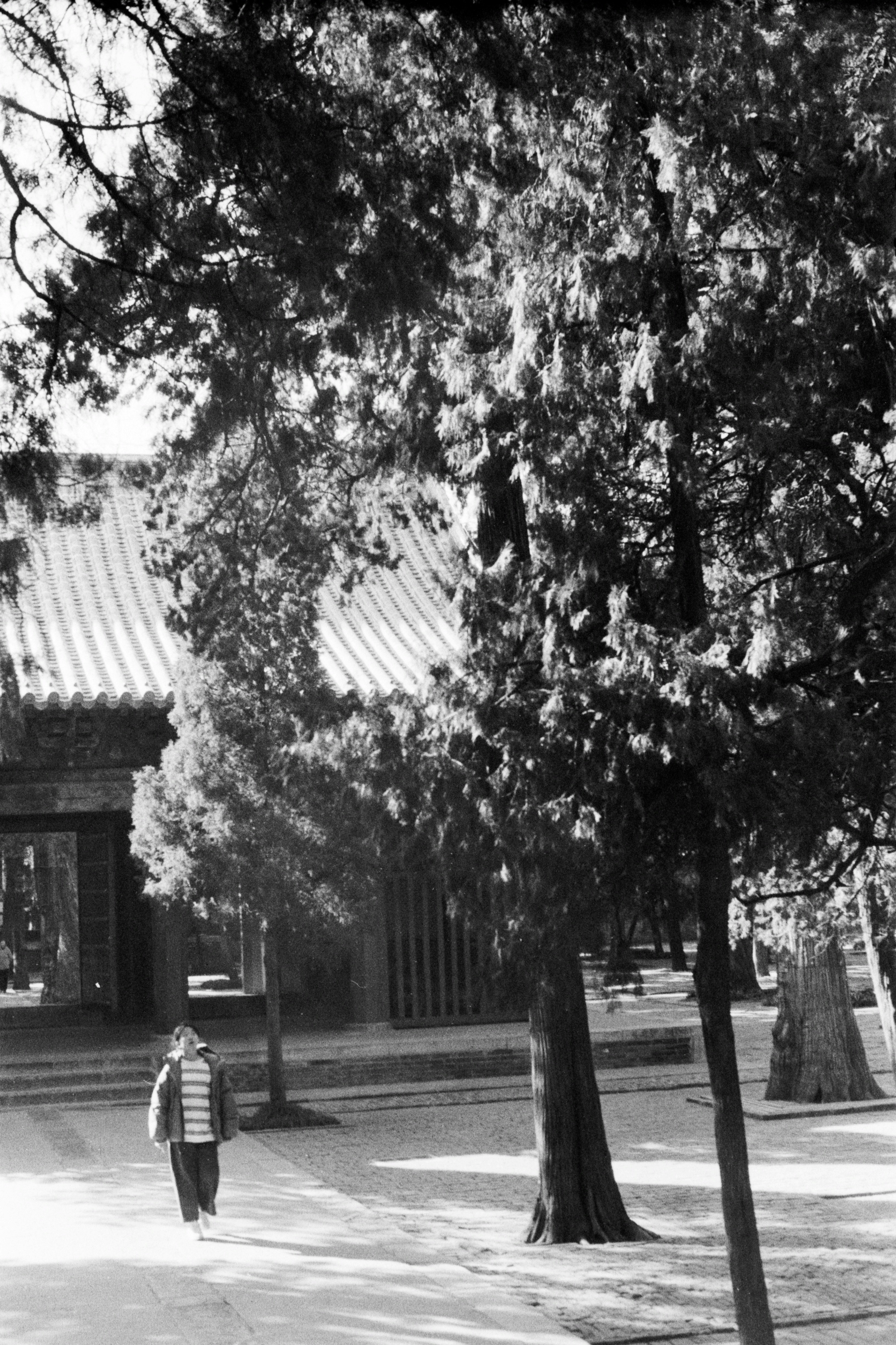 Solitary visitor before the temple gate in a sunlit courtyard
