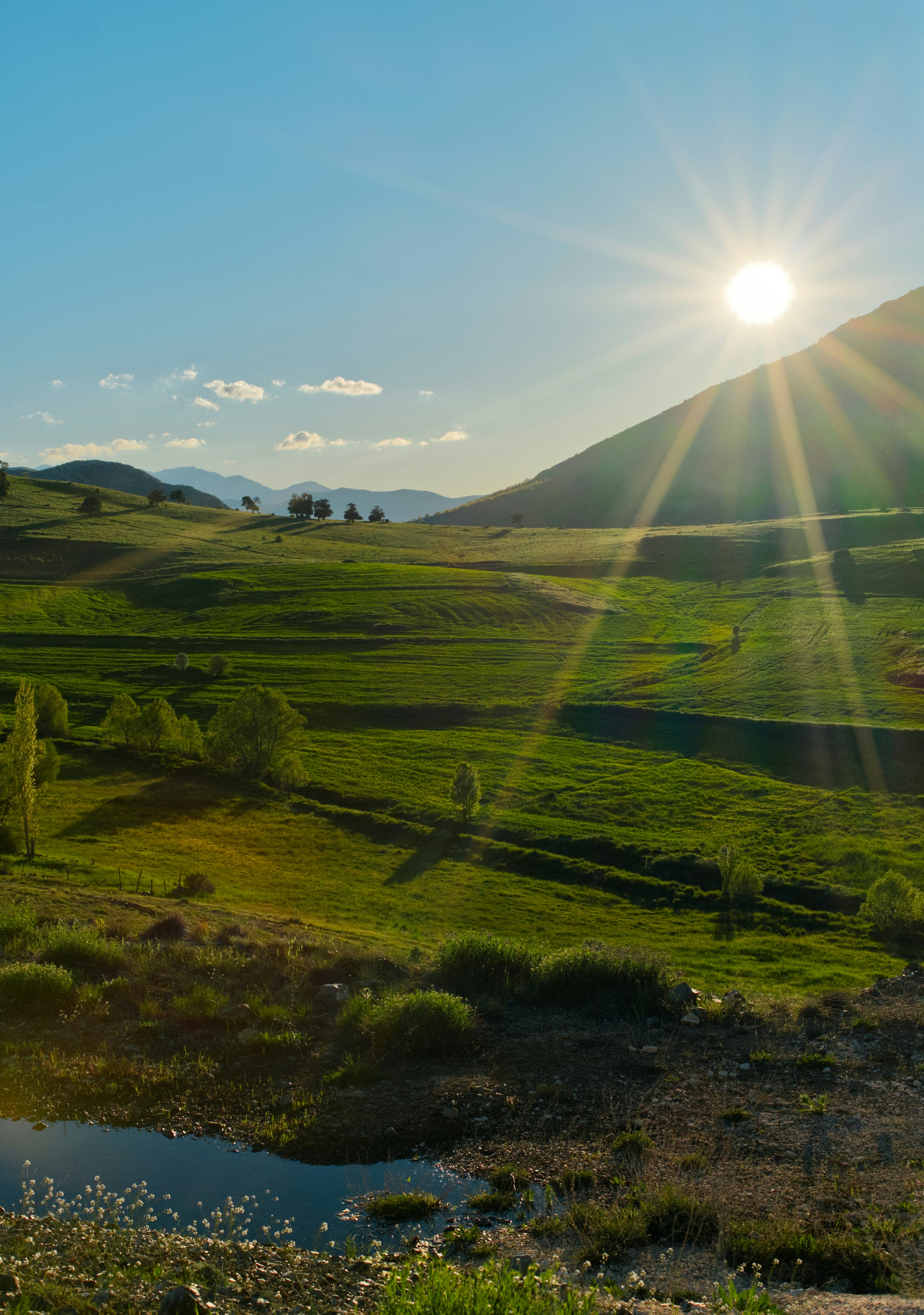 Low Sun Over Rolling Hills: Afternoon Light and Long Shadows