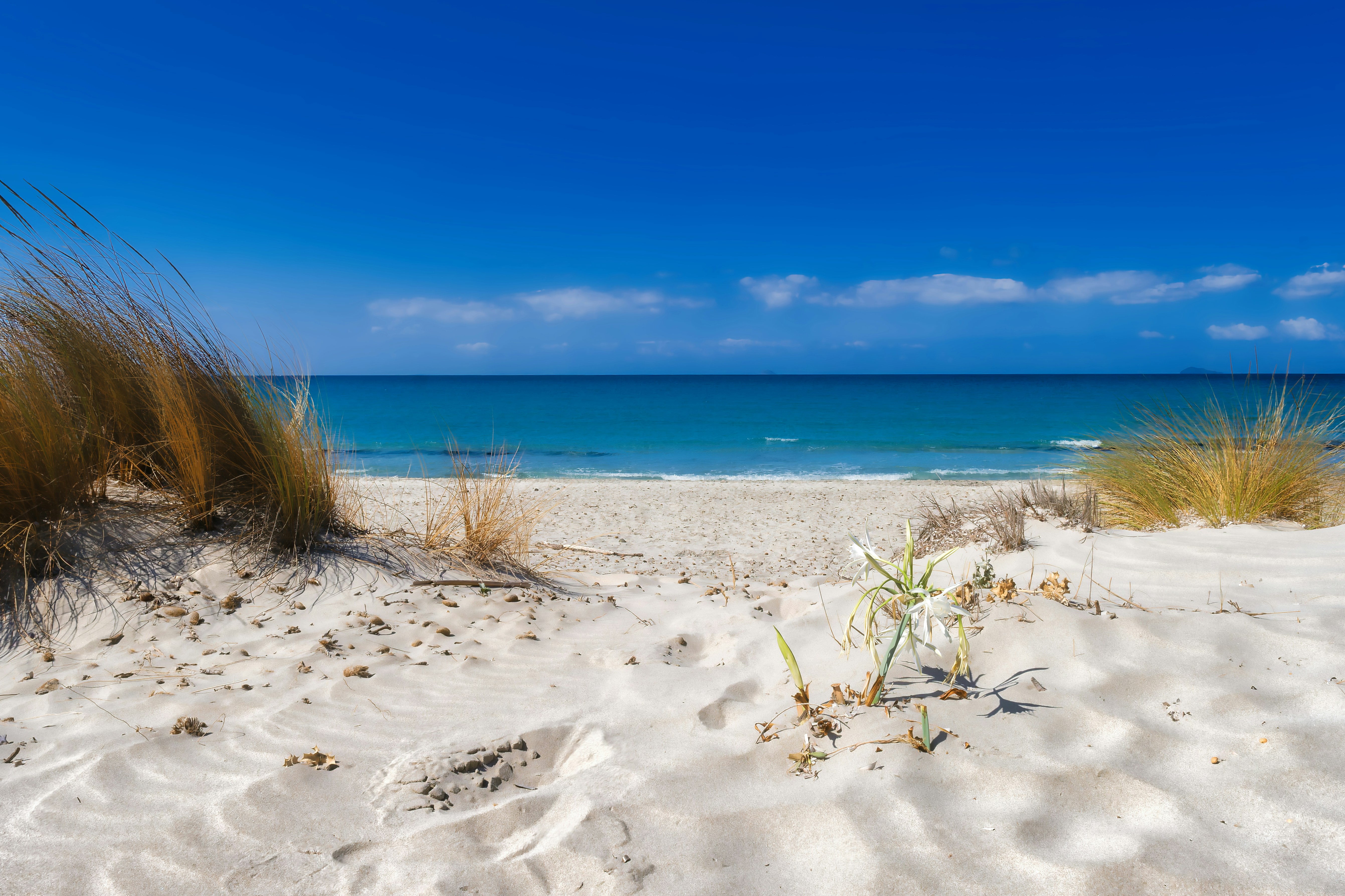 Sand, Sea, and Sky: A Quiet Beach Day