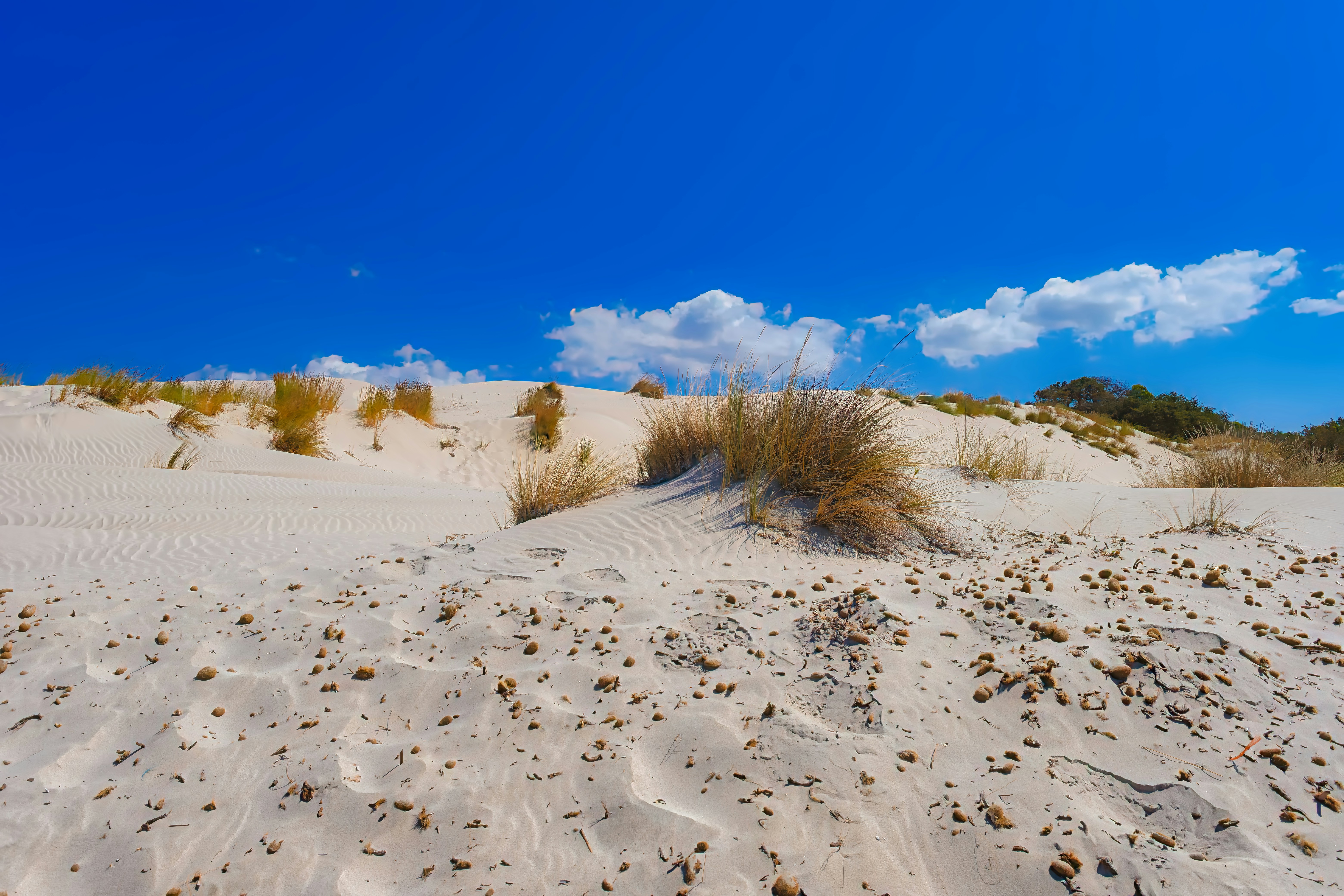 Desert Dunes photo shot on Fujifilm X-T30