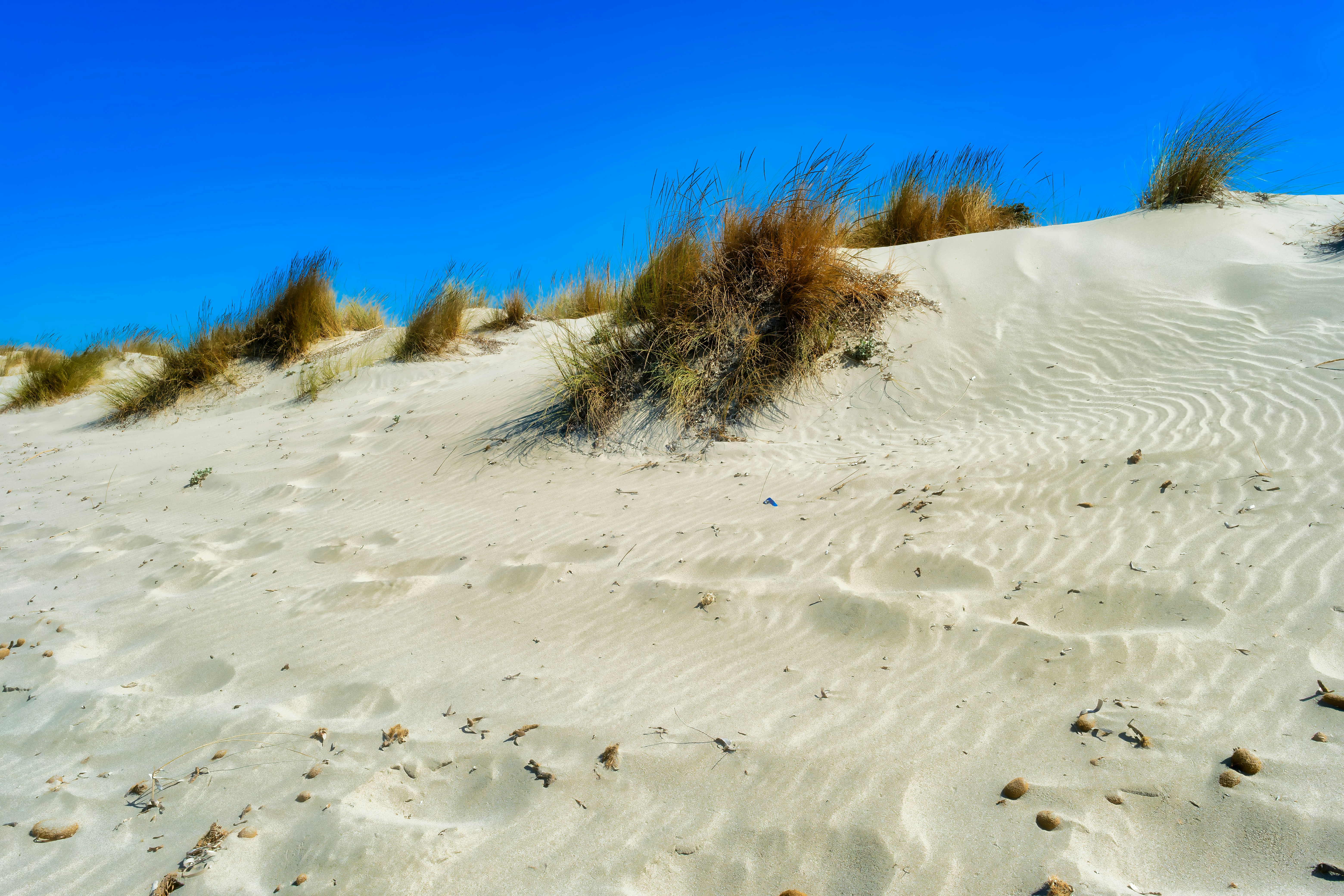 Dune Crest under Aegean Blue Sky