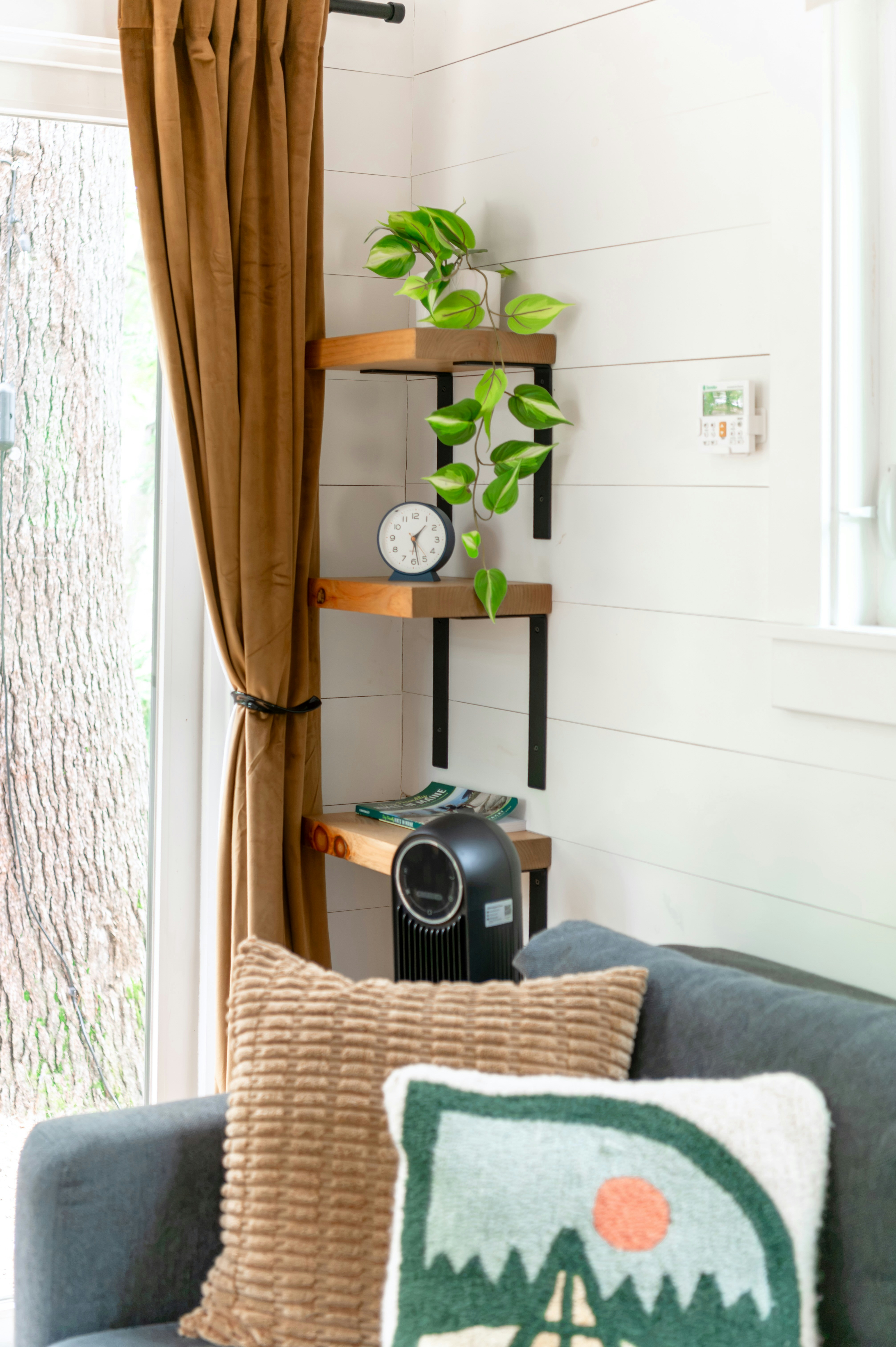 Sunlit Shelf of Greenery and Steamline Accents in Cozy Living Nook