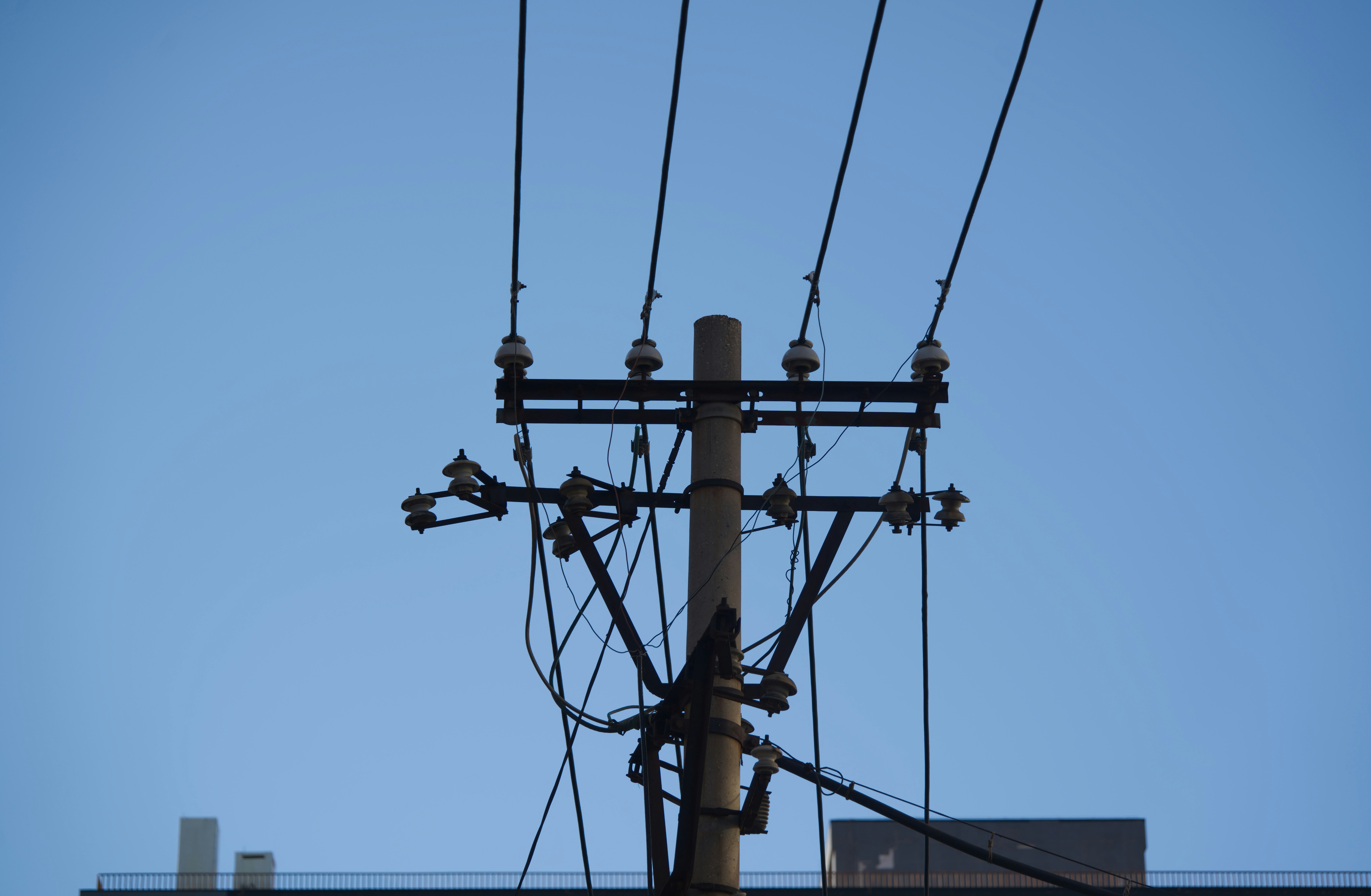 Suspended Lines: A Quiet Portrait of a Power Pole Against a Clear Sky