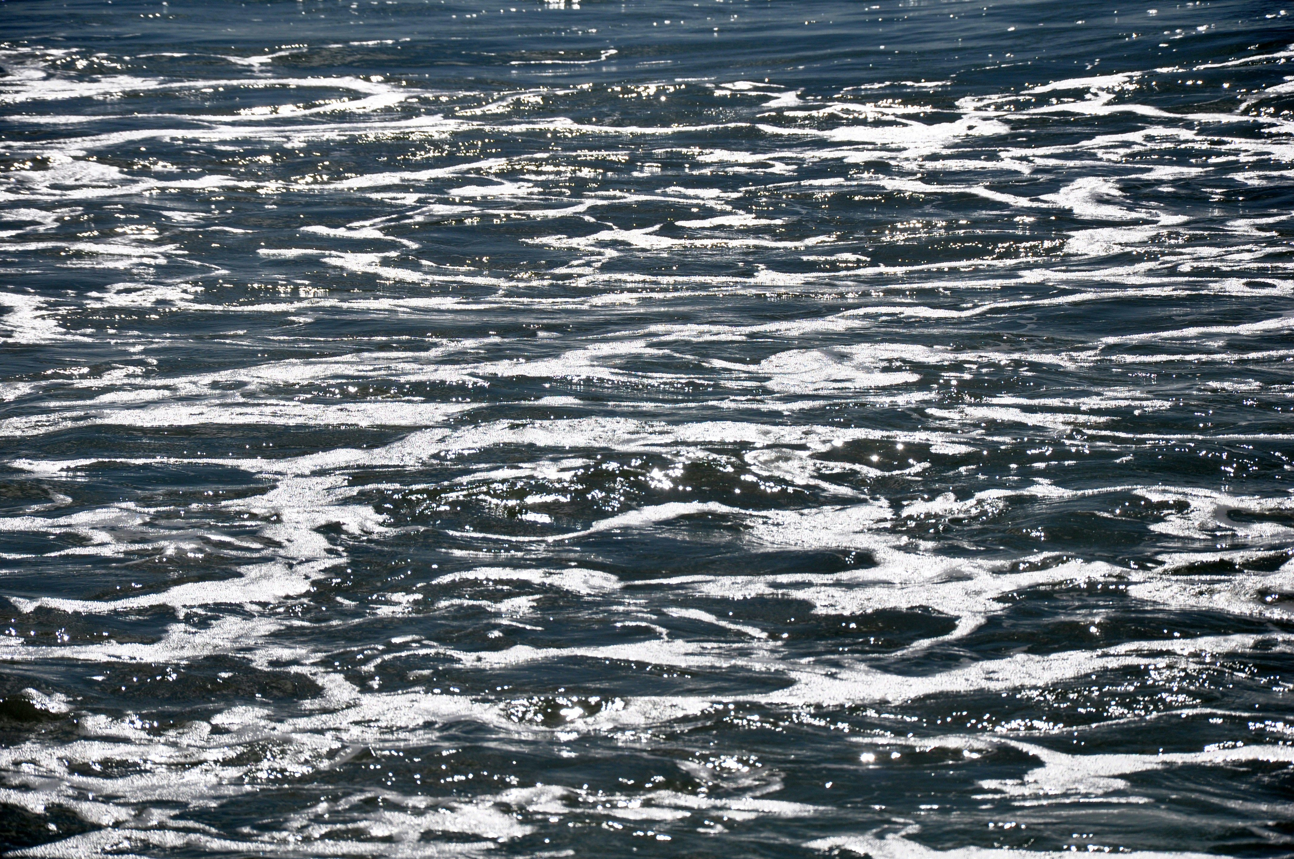 Sunlit Ripples: a Field of White-Lined Waves on Open Water