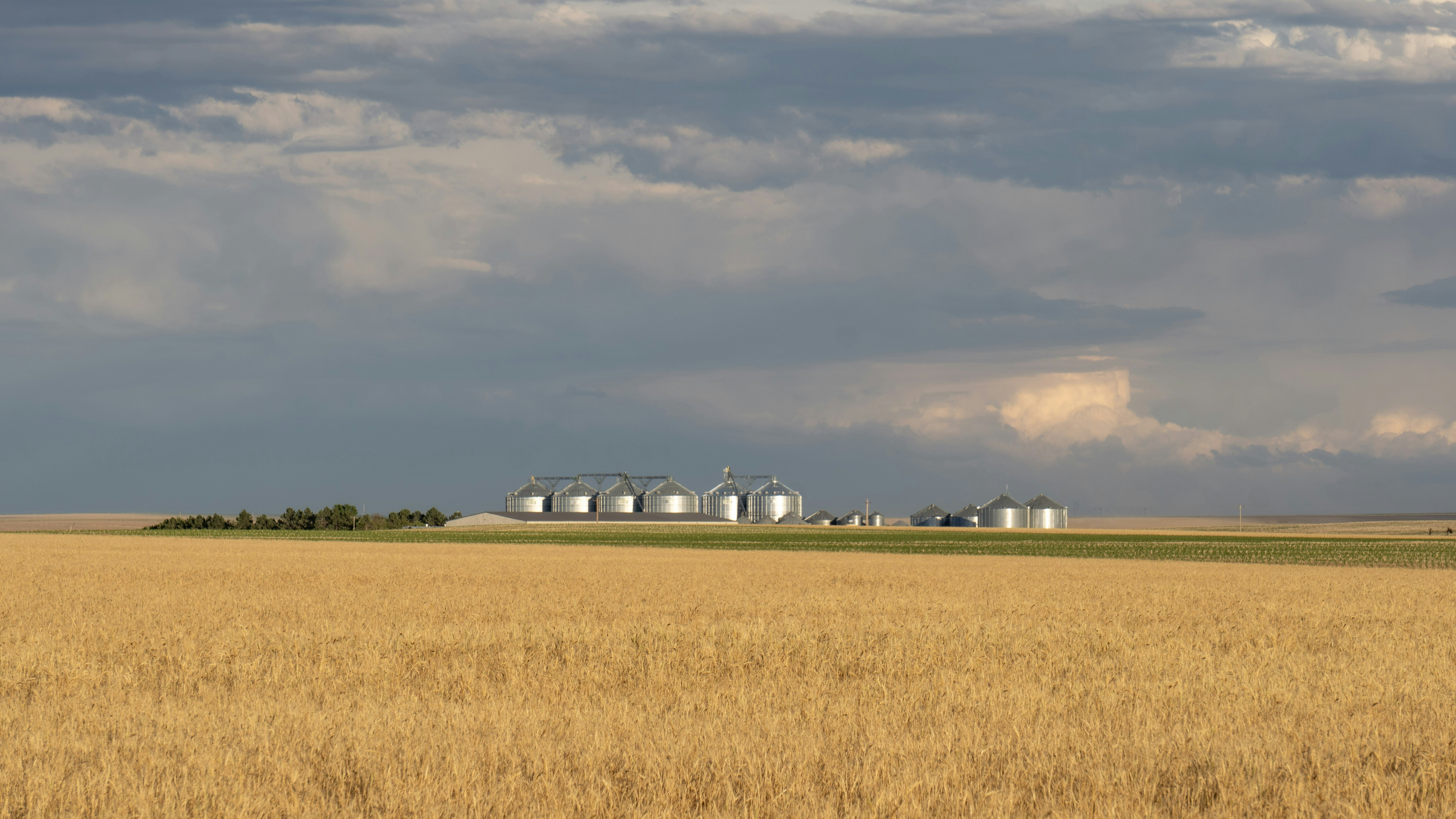 Golden Prairie Silos at Distant Horizon