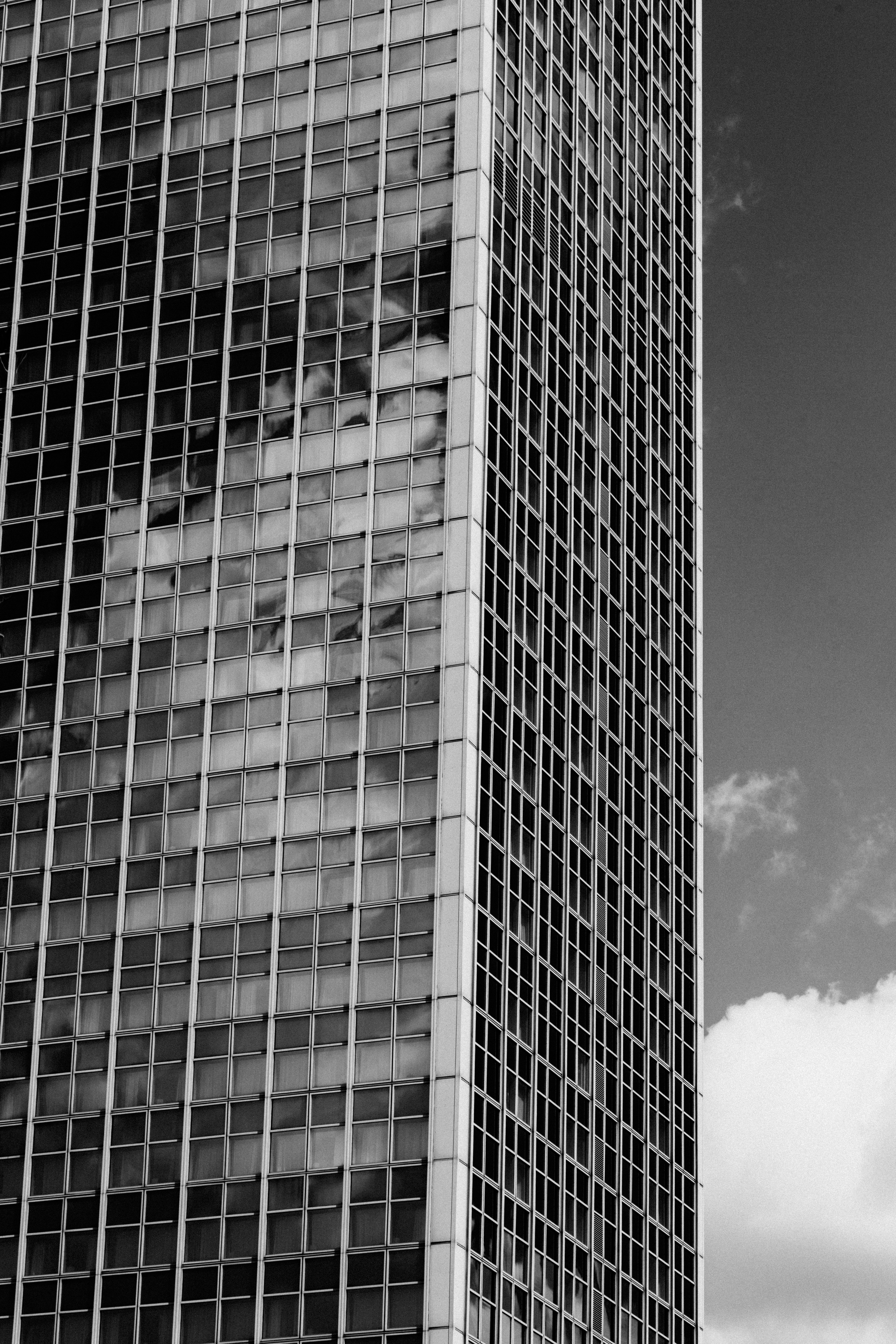 Vertical Echo: A Glass Facade Refracts the Sky
