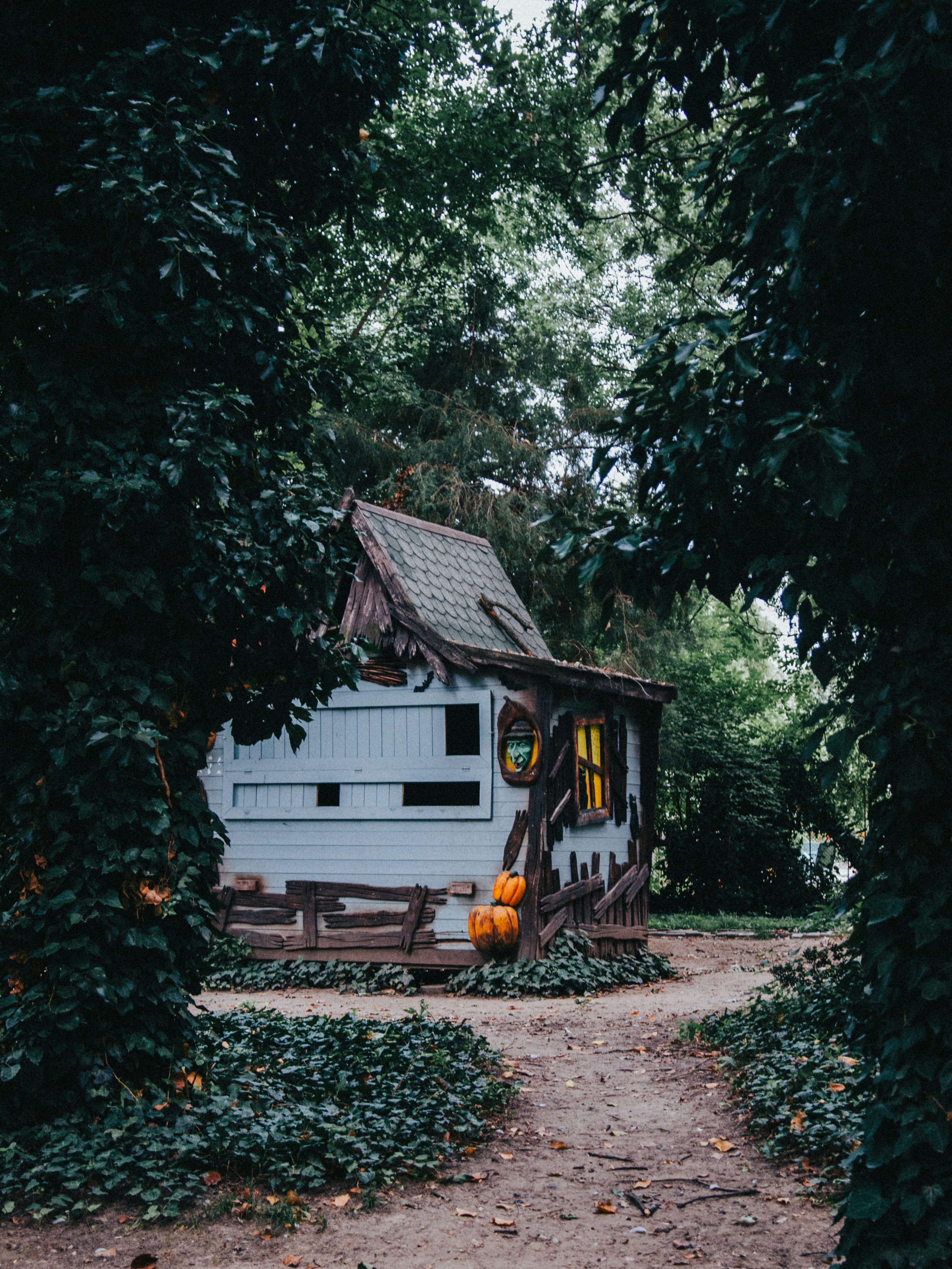 Rustic cottage nestled in a leafy path, pumpkins stacked by the door near a sunlit window.