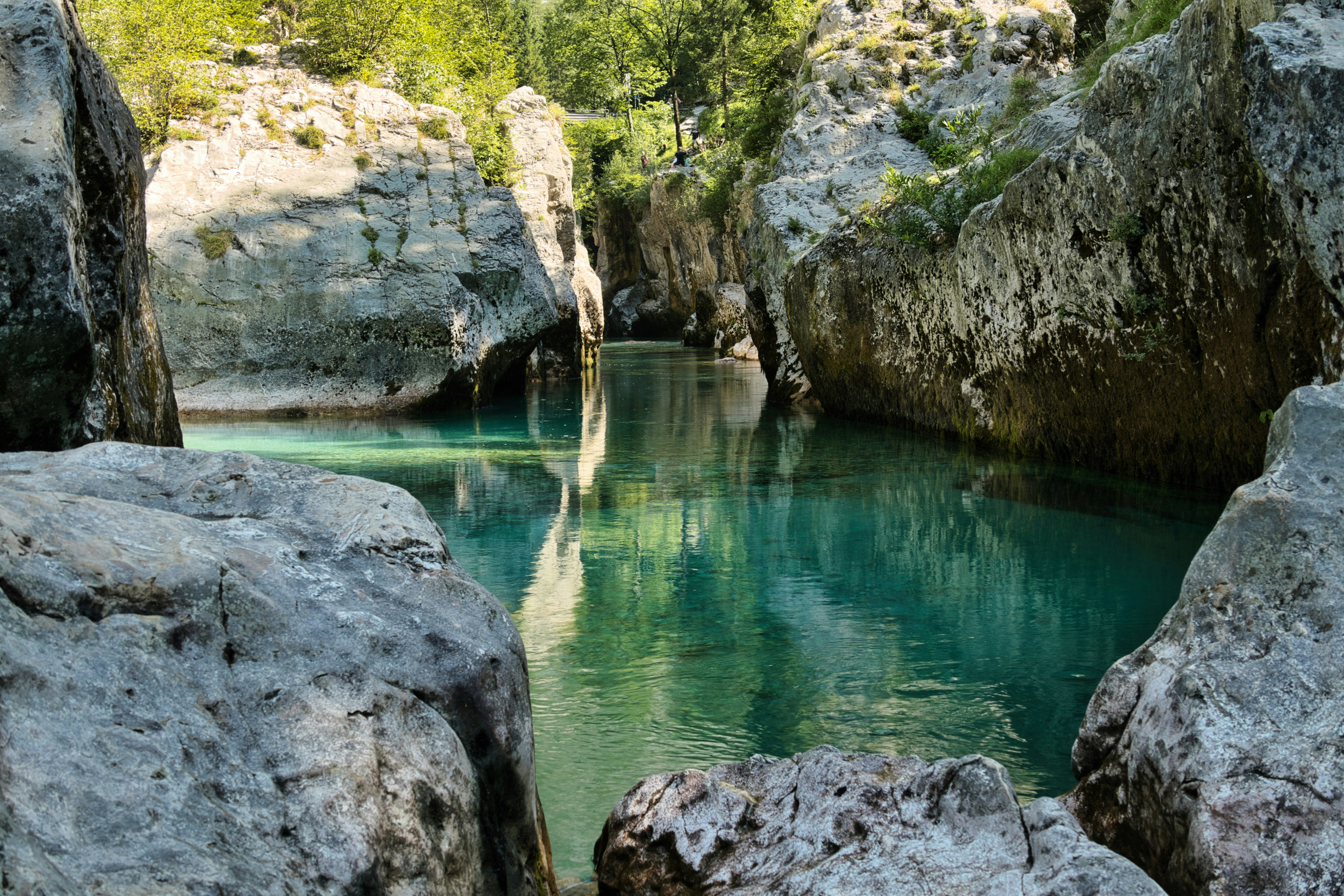 Hidden Pool of Verdant Light
