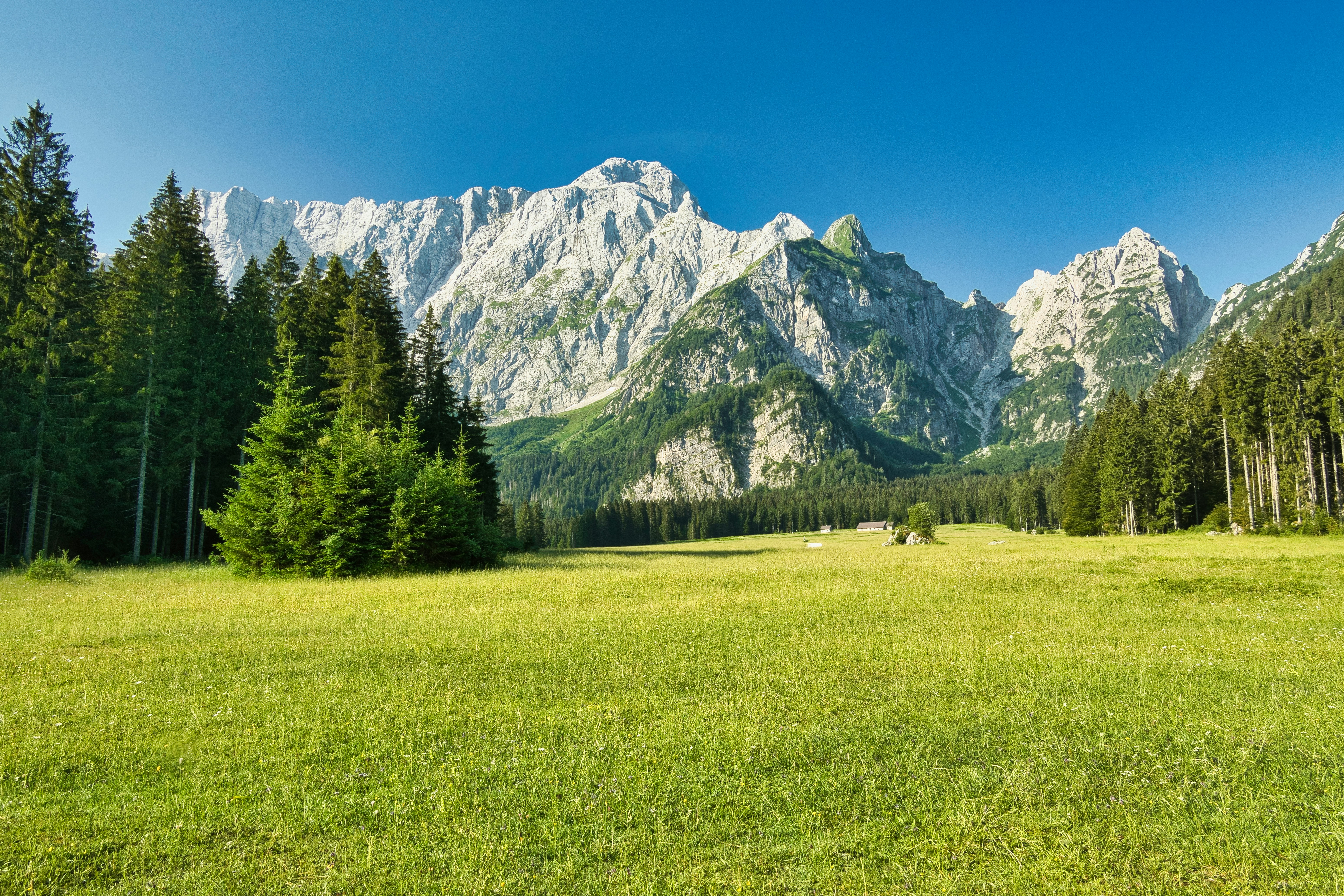Emerald Meadow Before the Alpine Giants