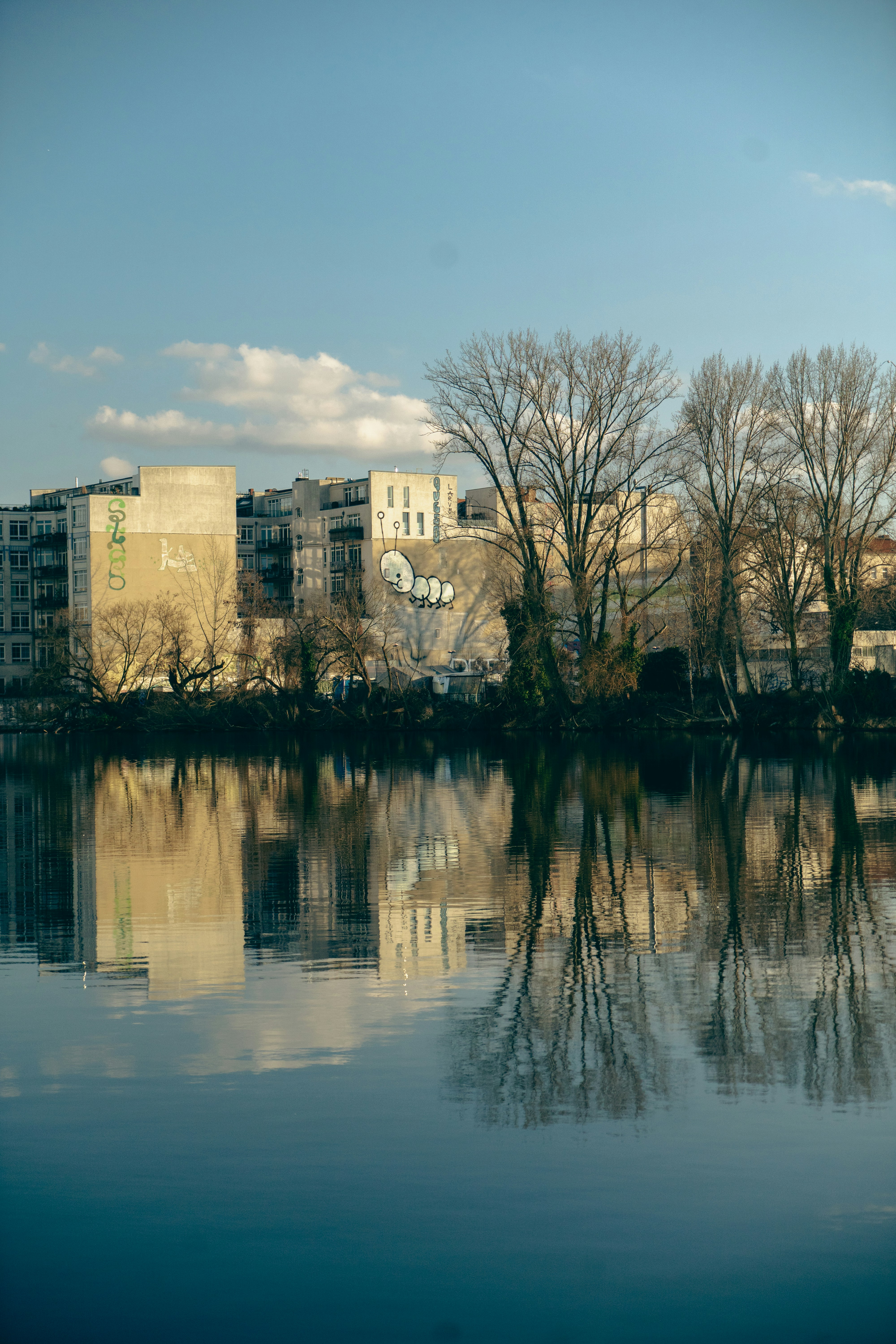 Riverfront Silence: Trees, Buildings, and Their Quiet Echo