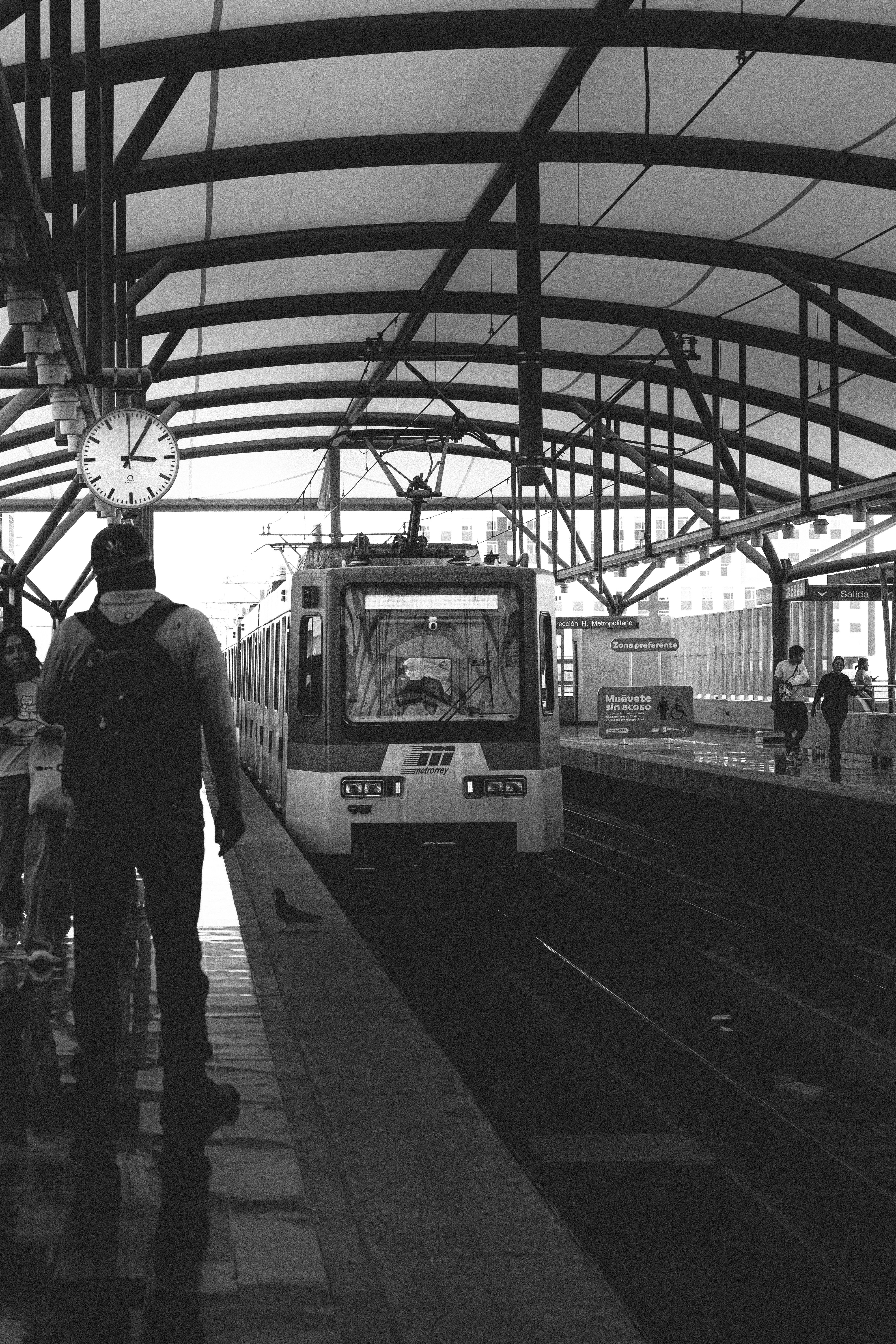 Platform Pulse: Commuters and a Train in a Curved Canopy