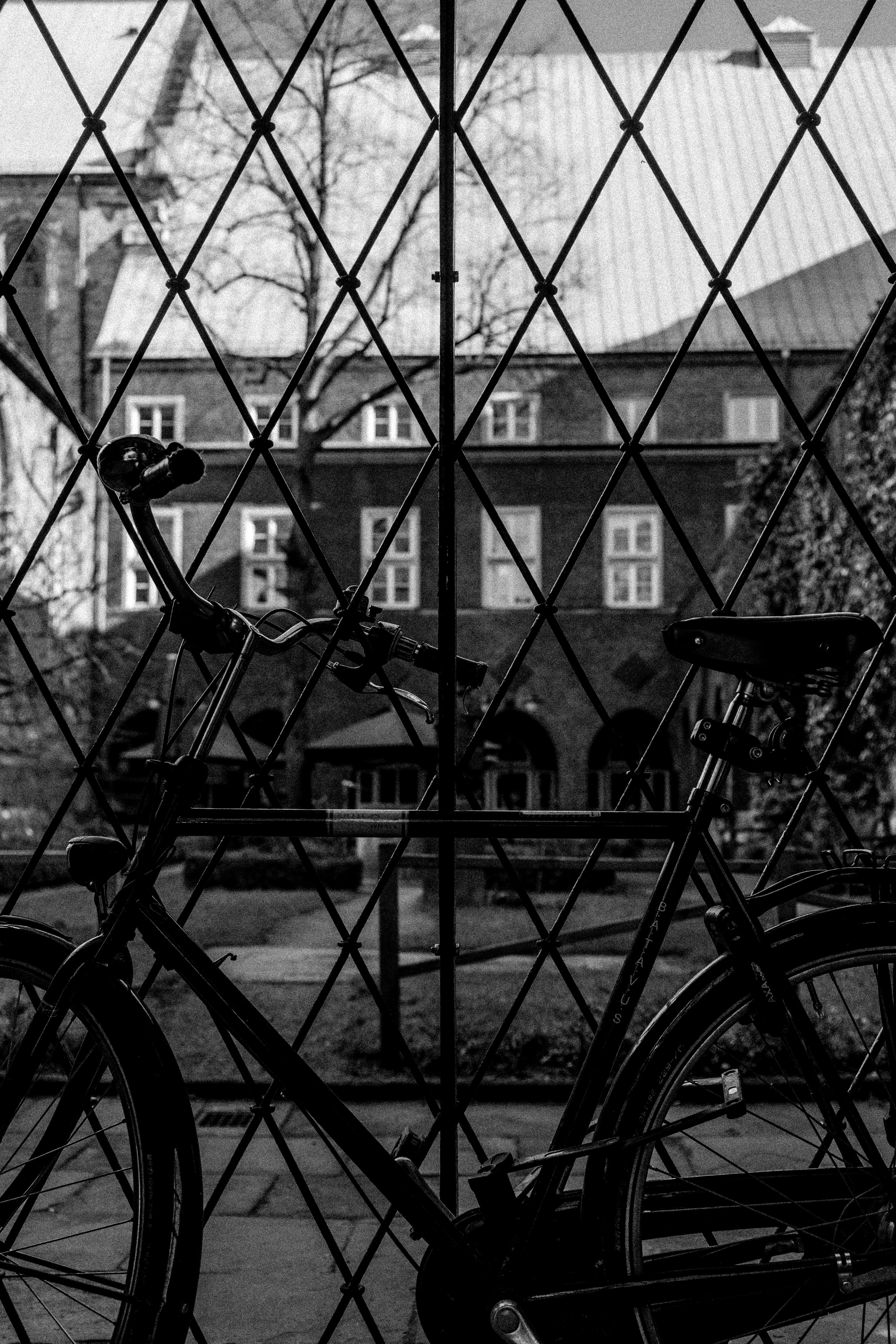Bicycle Silhouette Against a Diamond Grid