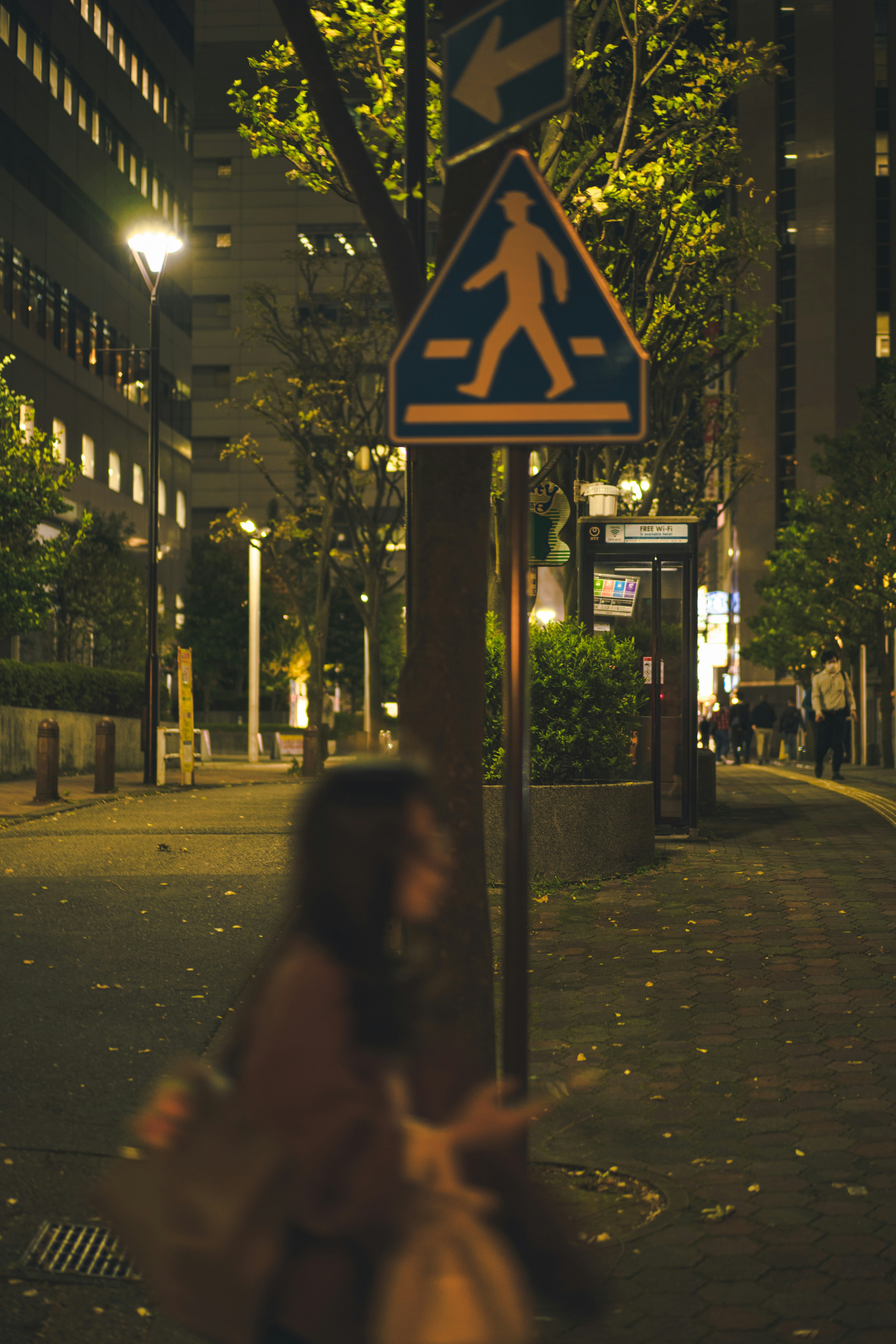 Night Pedestrian Crossing Under a Blue Triangular Sign in an Urban Park Path
