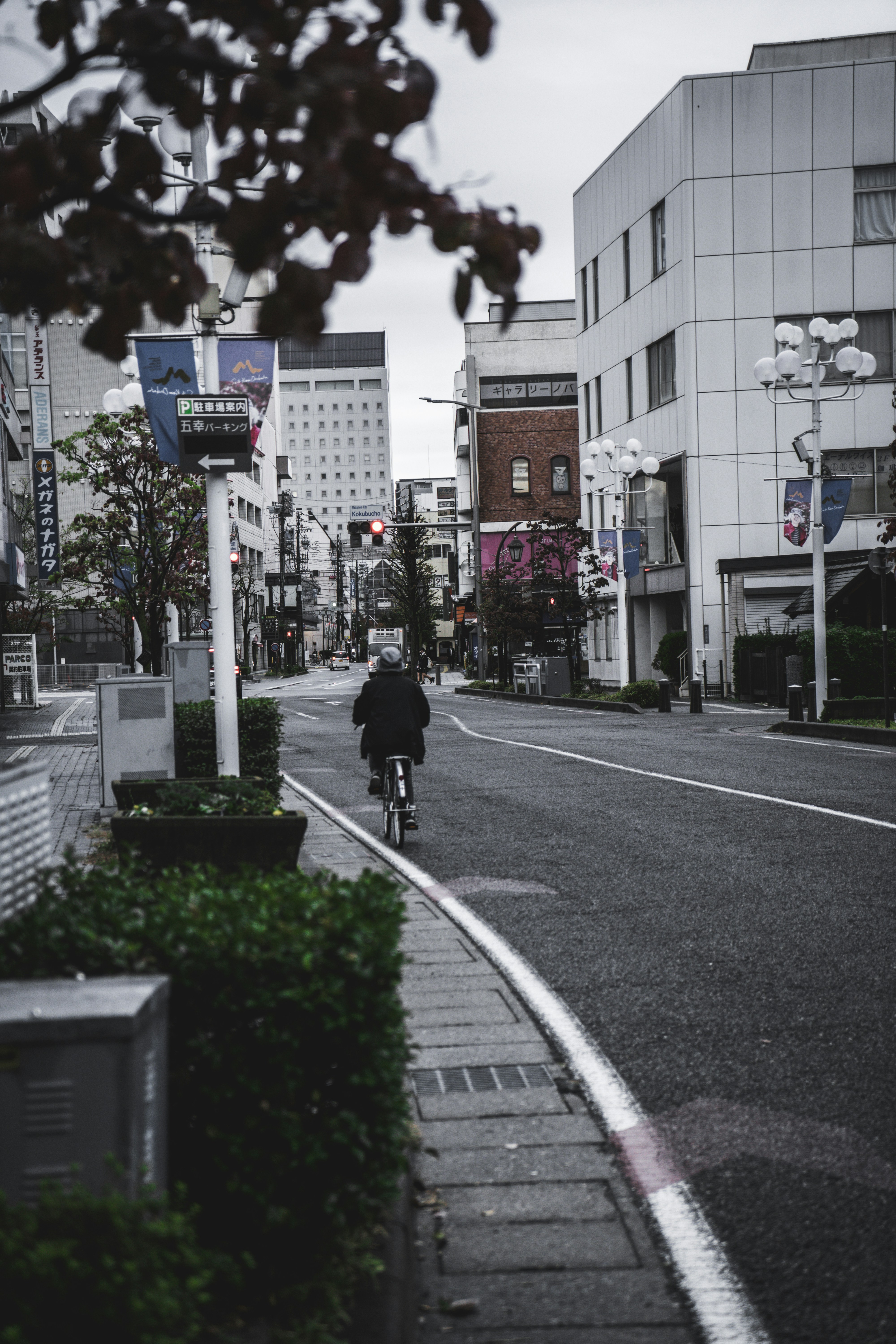 City Bicycle Ride: A Quiet Ascent Through Gray Streets