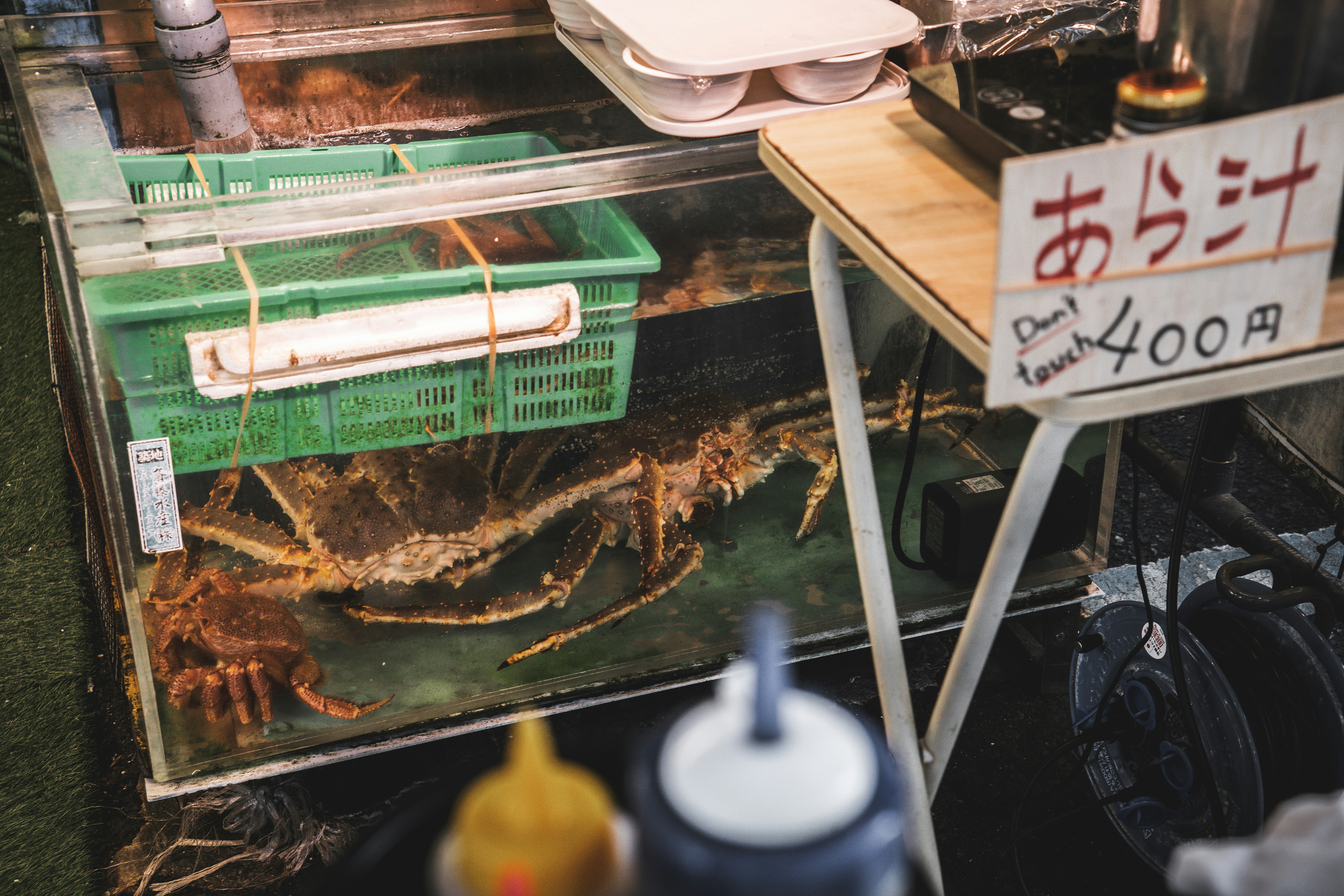 Crabs in a Glass Tank Under Market Lights