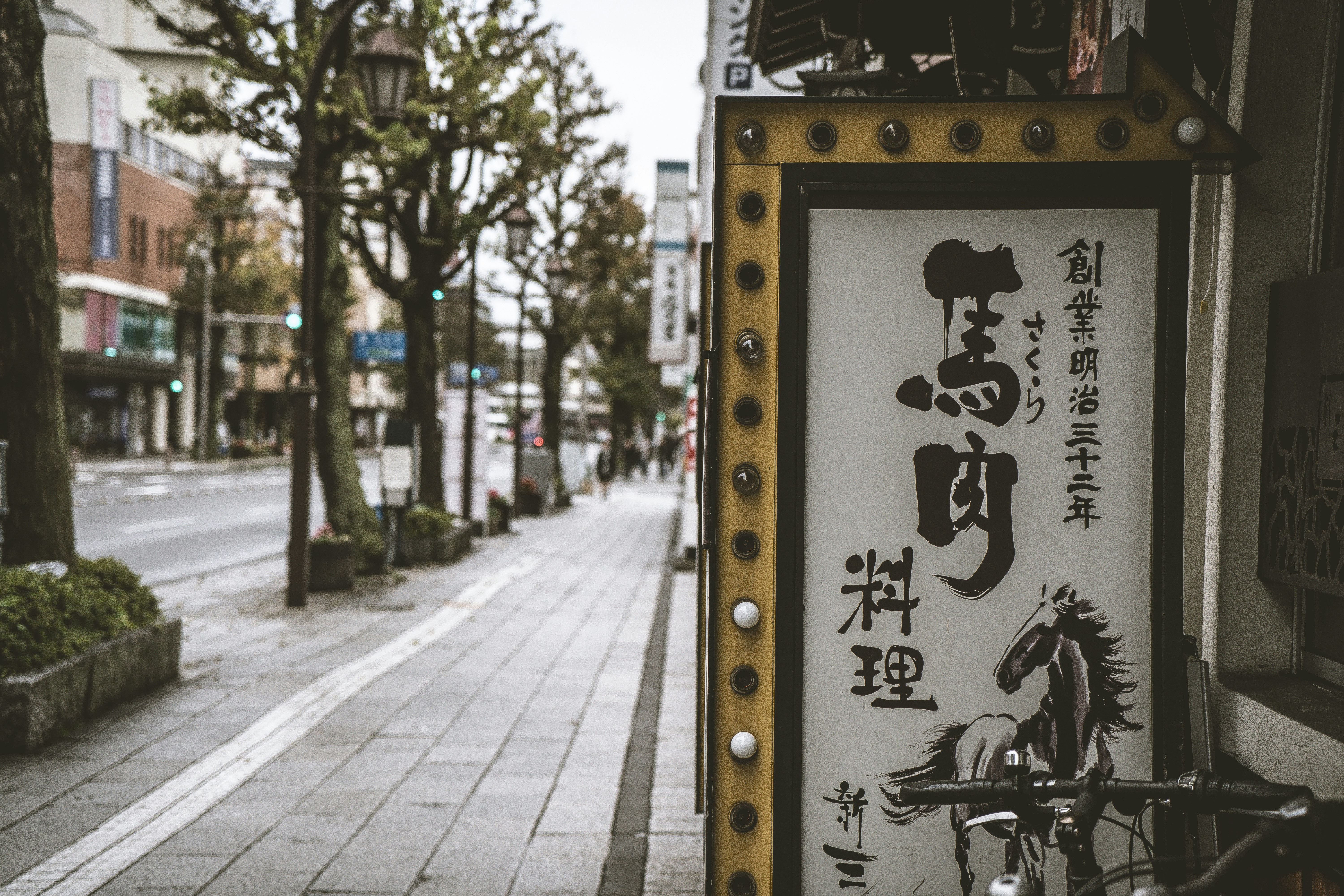 Neon-sign Alleyway with Japanese Restaurant Facade