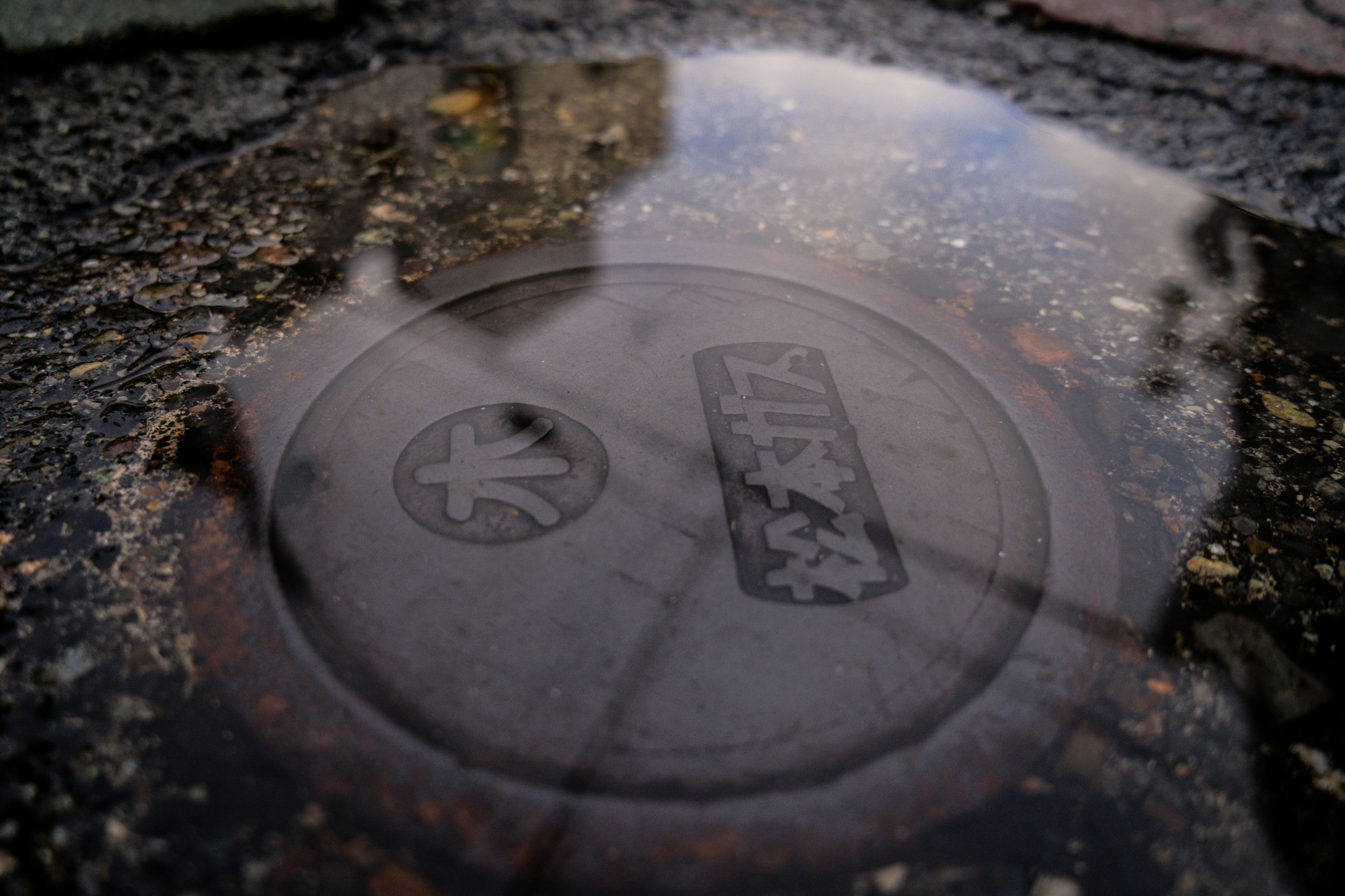 Puddle of Quiet Reflection: A manhole close-up in rain-dappled pavement