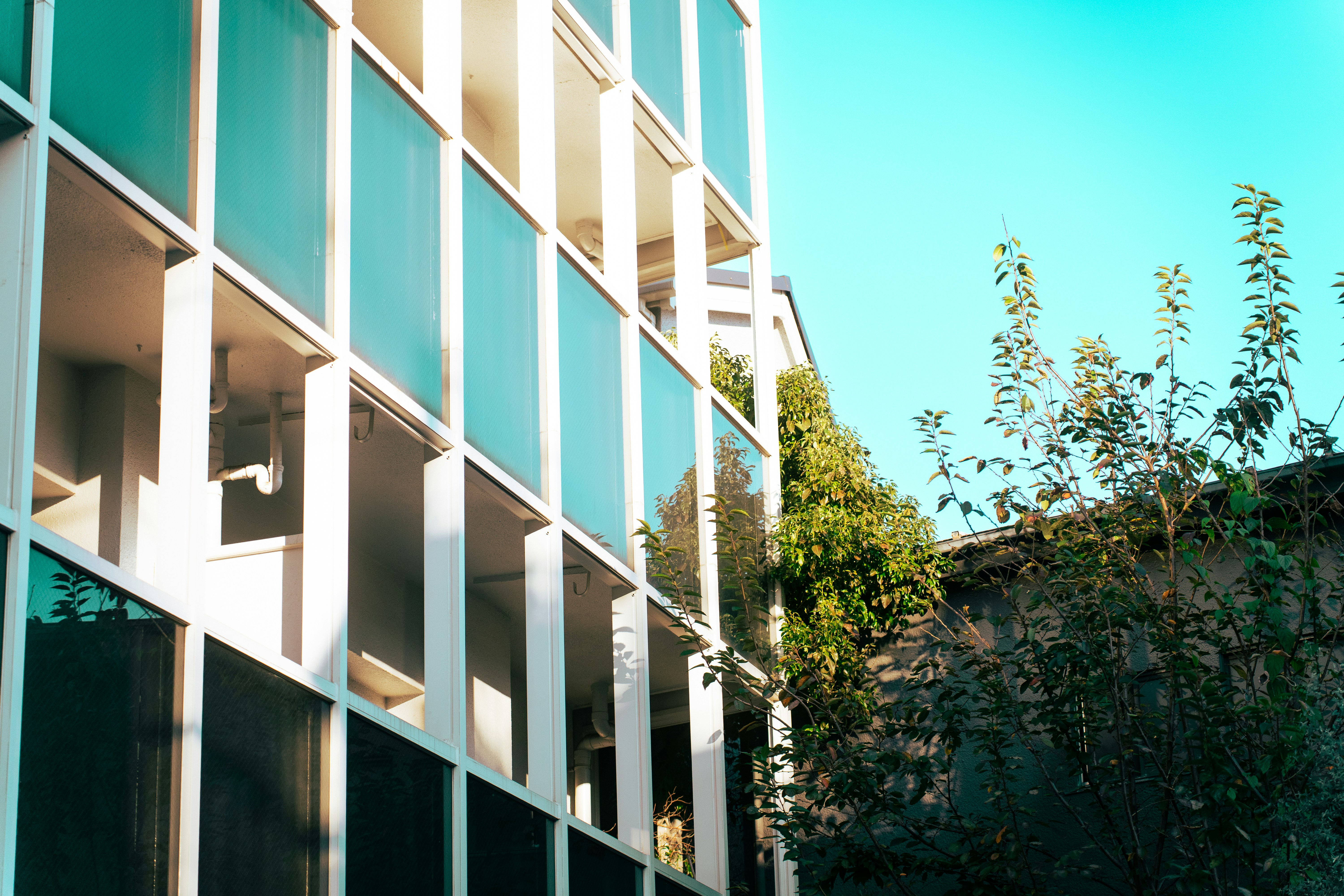 A nostalgic, film-like view of a mid-century modern building bathed in the warm, golden sunlight of a late summer afternoon.