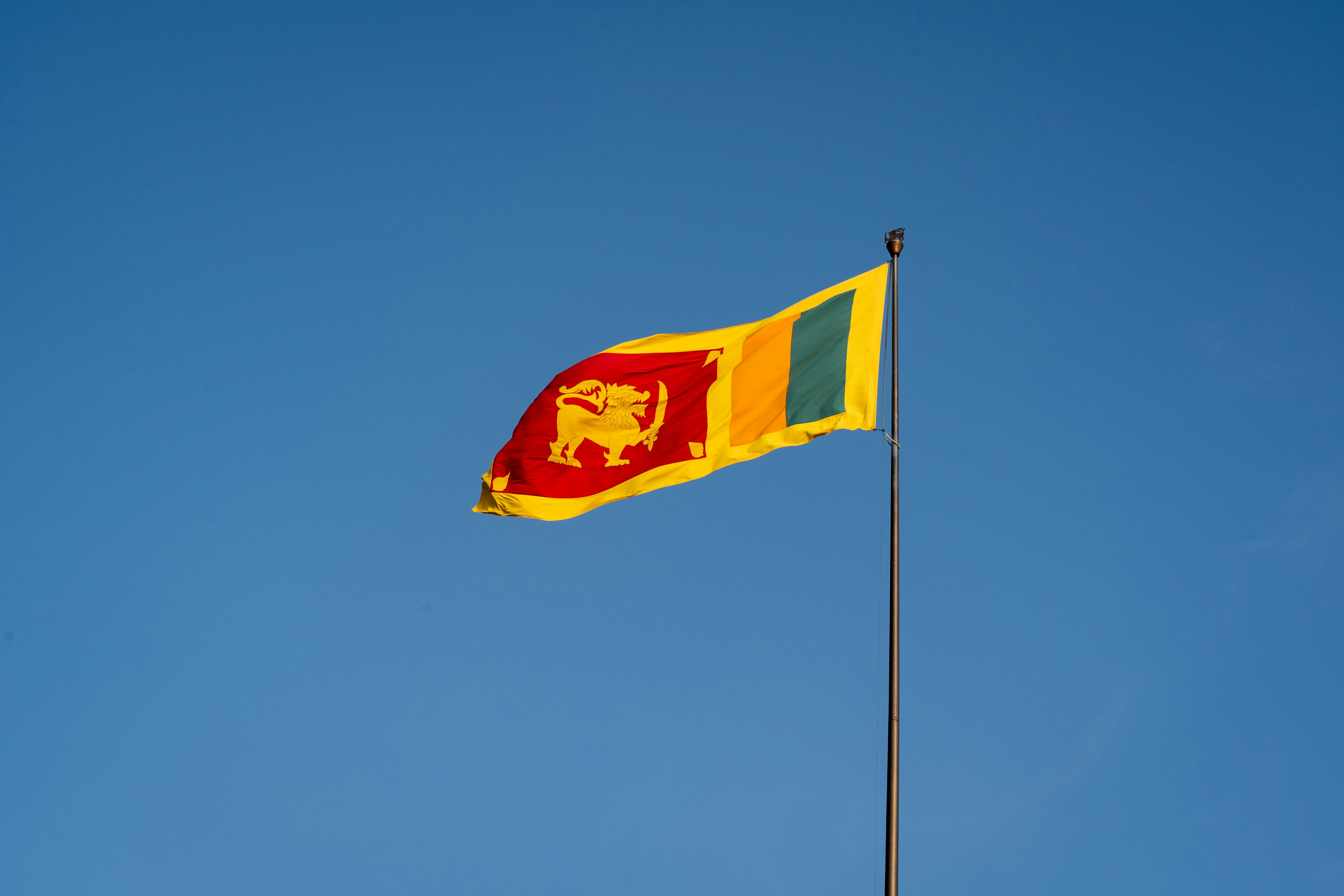 Flag against a Clear Sky: Sri Lankan Emblem on a Wind-Swept Pole