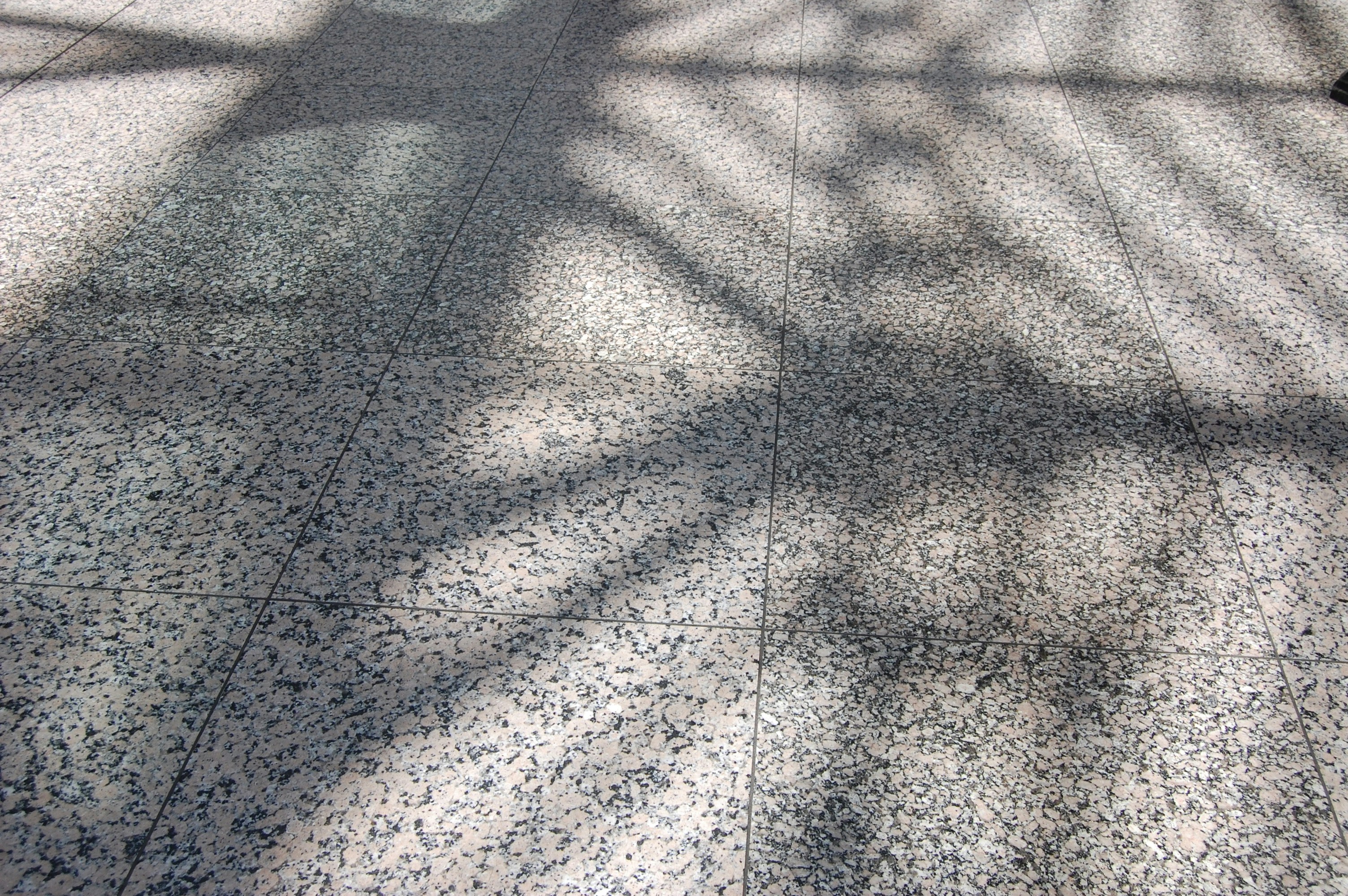 Shadows of a Lattice: Sunlit Granite Tiles and Branch Patterns