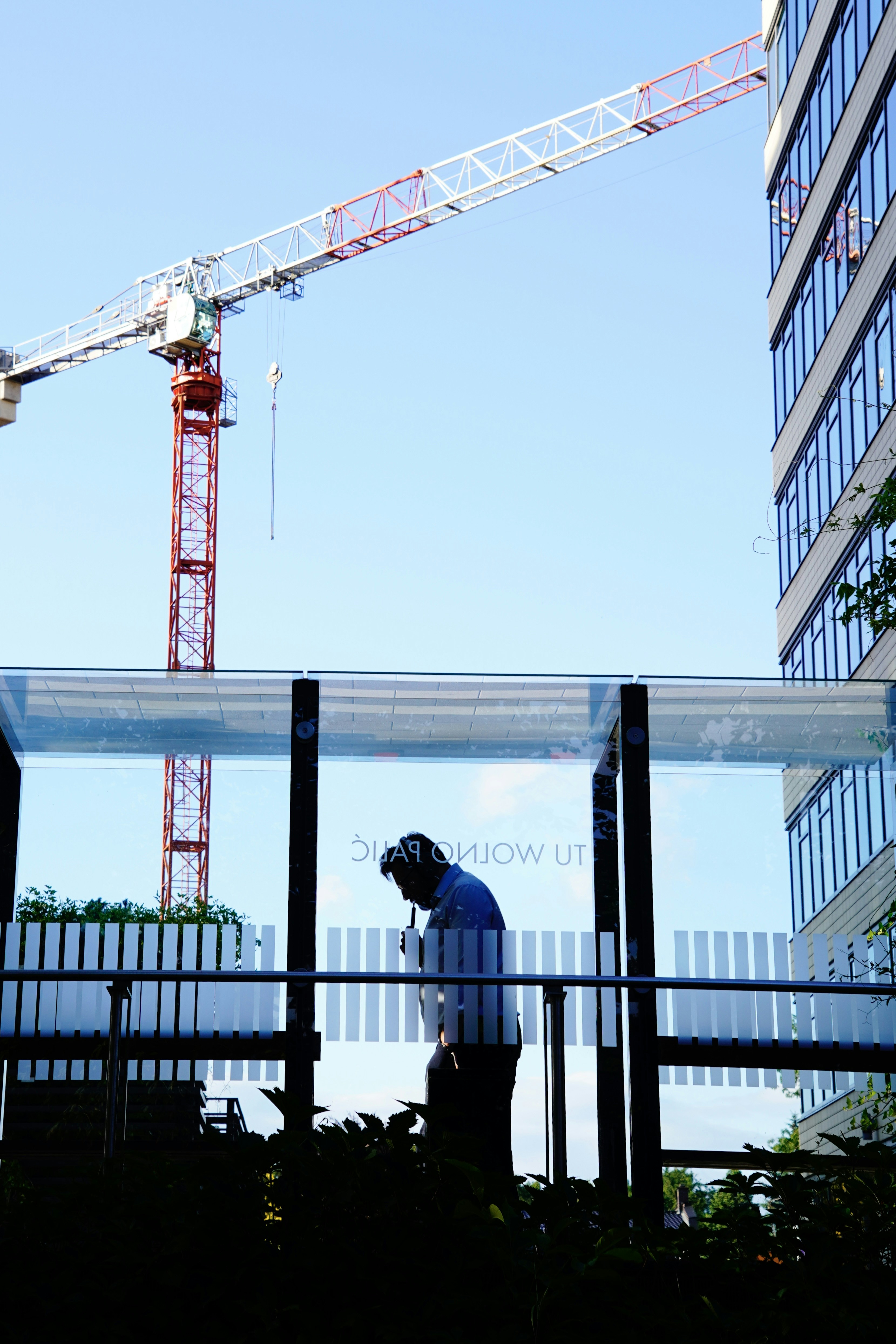 Silhouette at the Edge of Progress