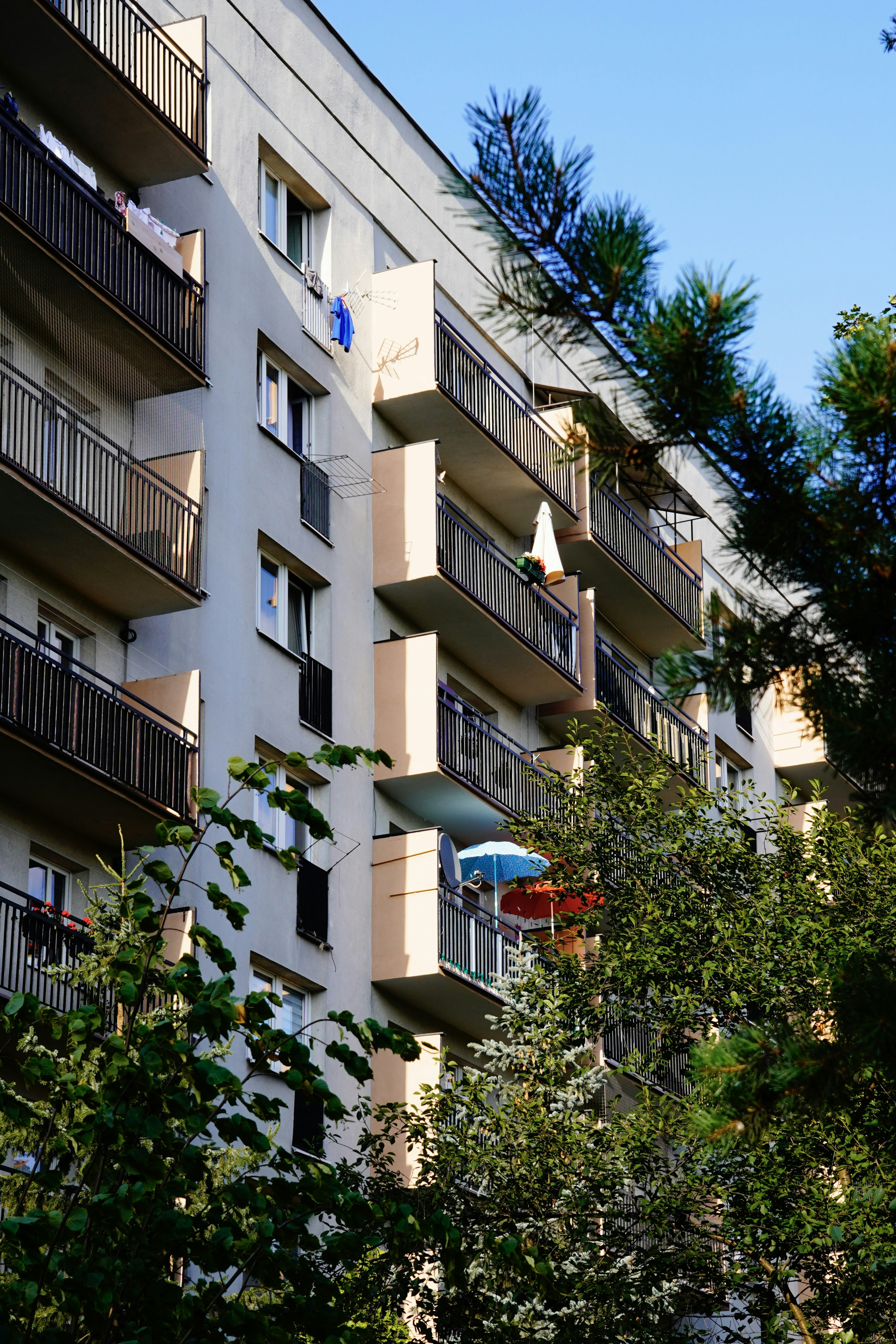 Balconies and Pine Shadows: A Sunlit Apartment Row