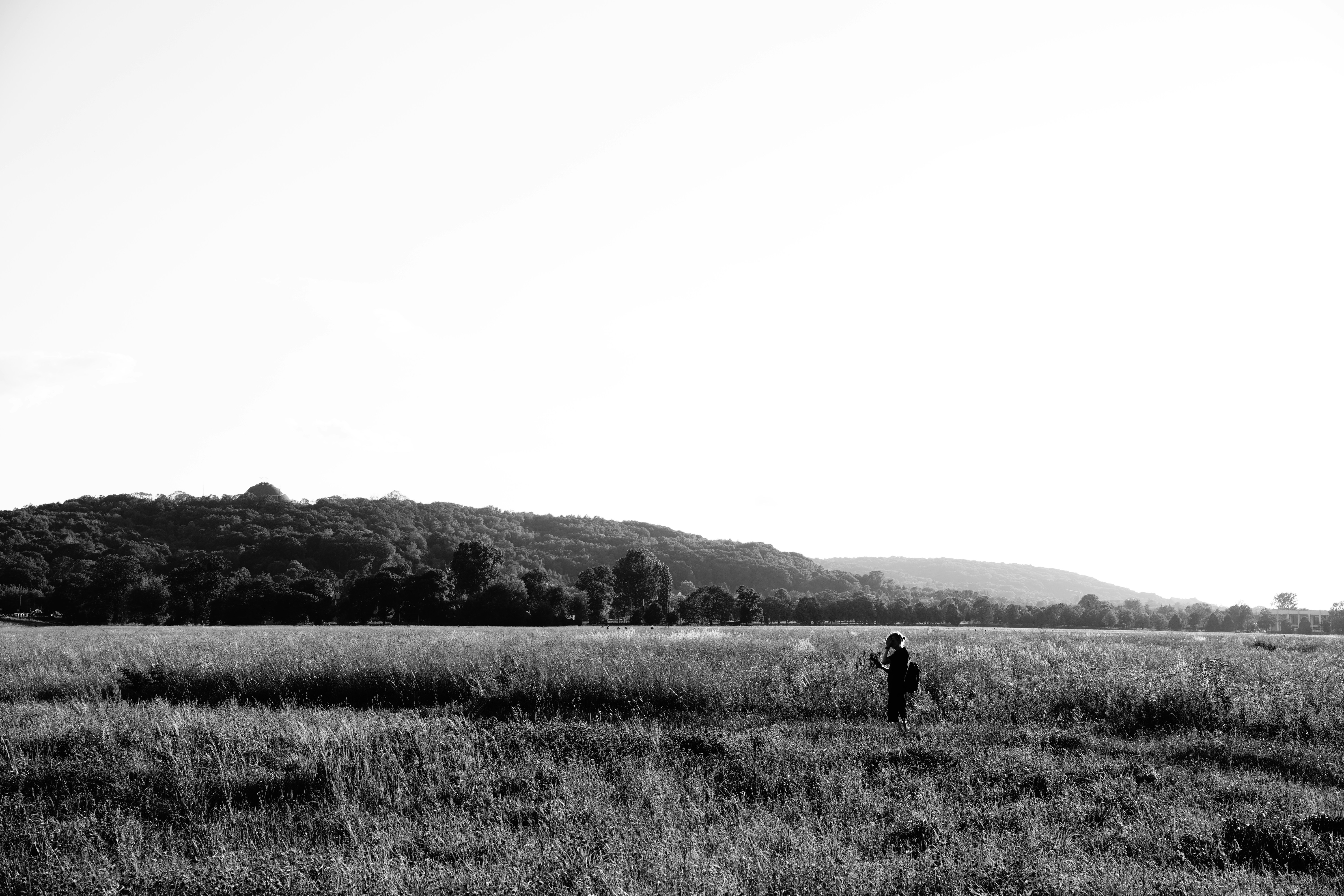  lone figure in a sunlit field at the edge of a distant forest