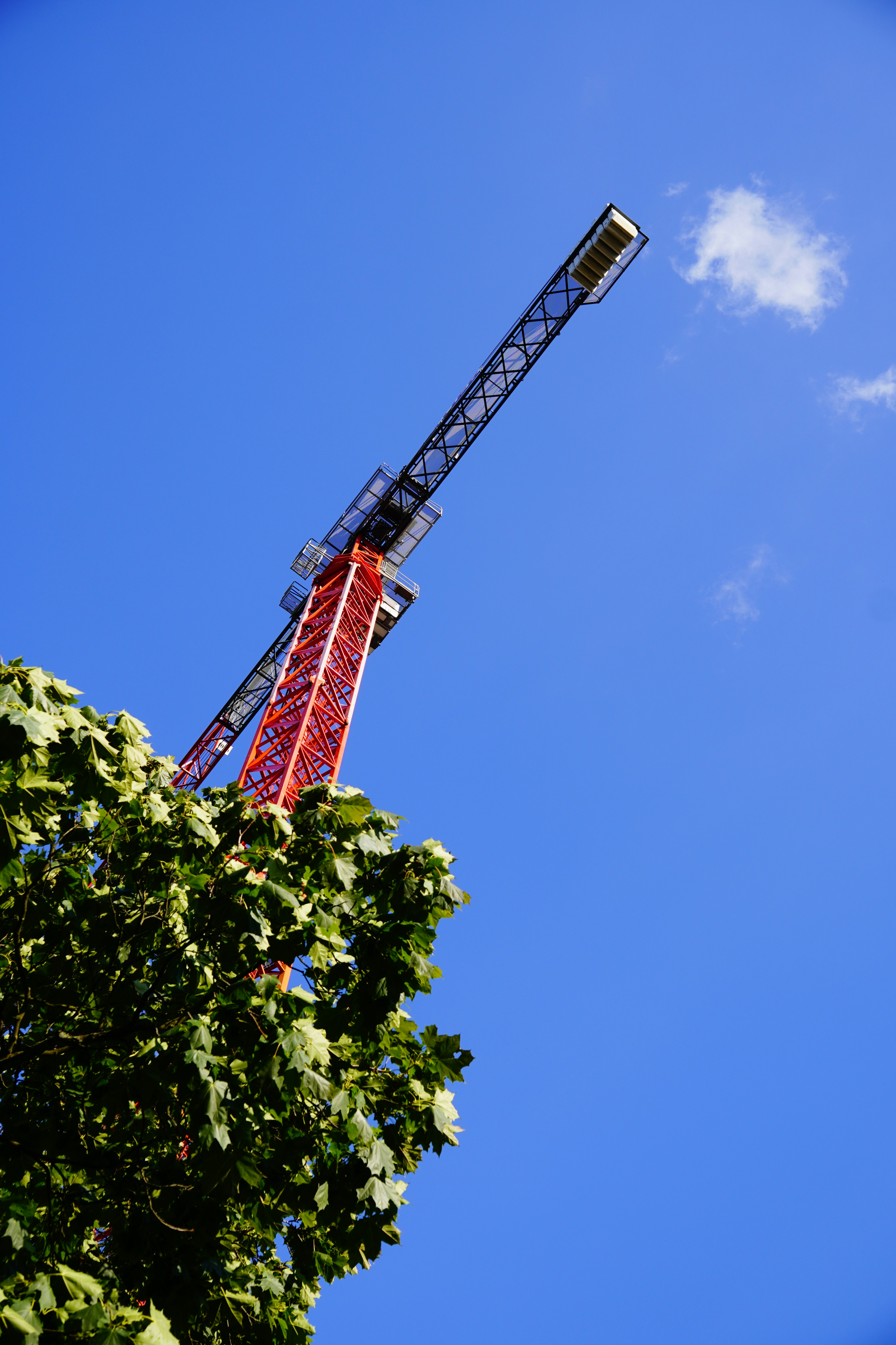 Crane Sails Toward the Sky: A Red Tower Reaches Over Green Canopy