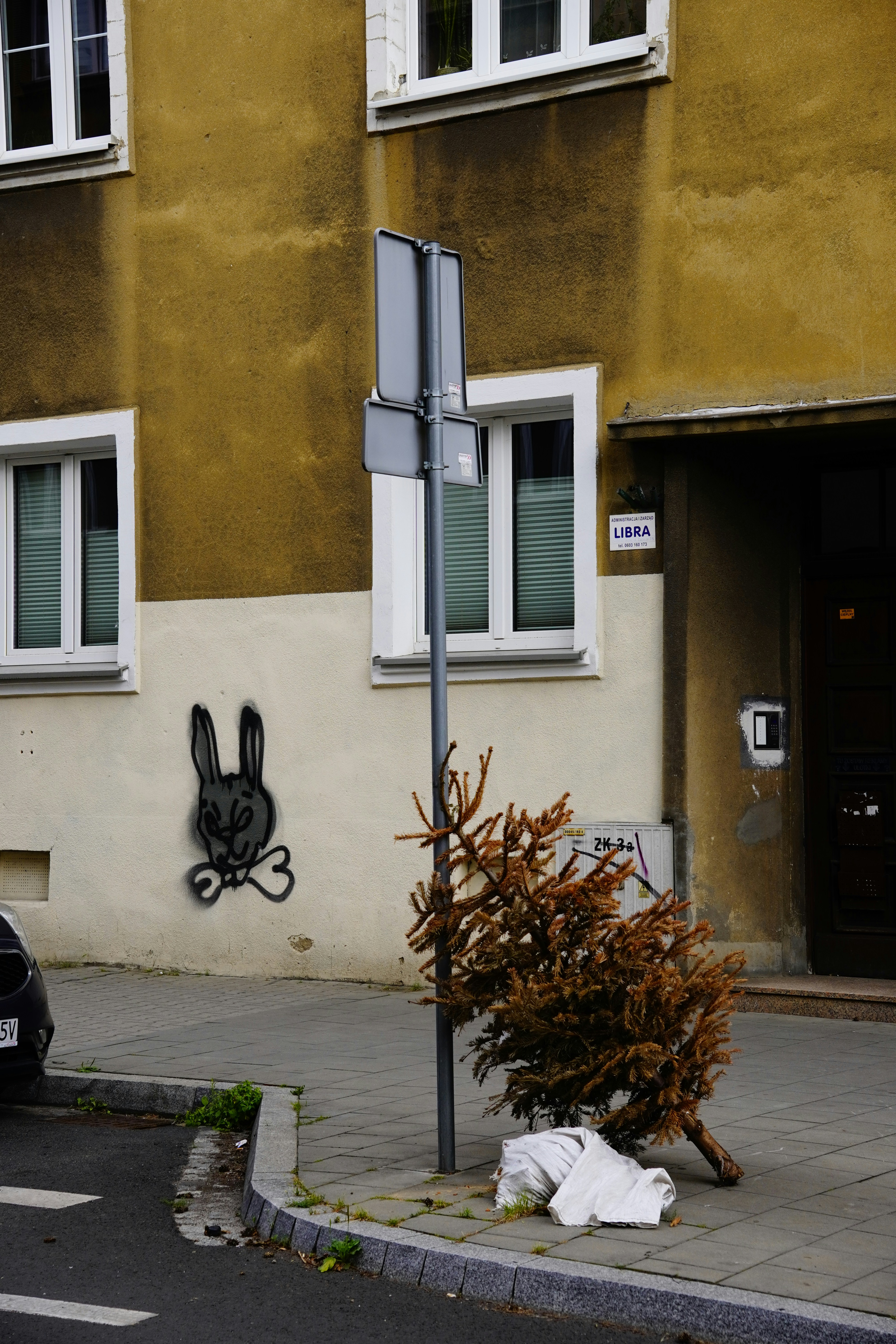 Urban Corner: Graffiti Bunny and Oblong Signposts