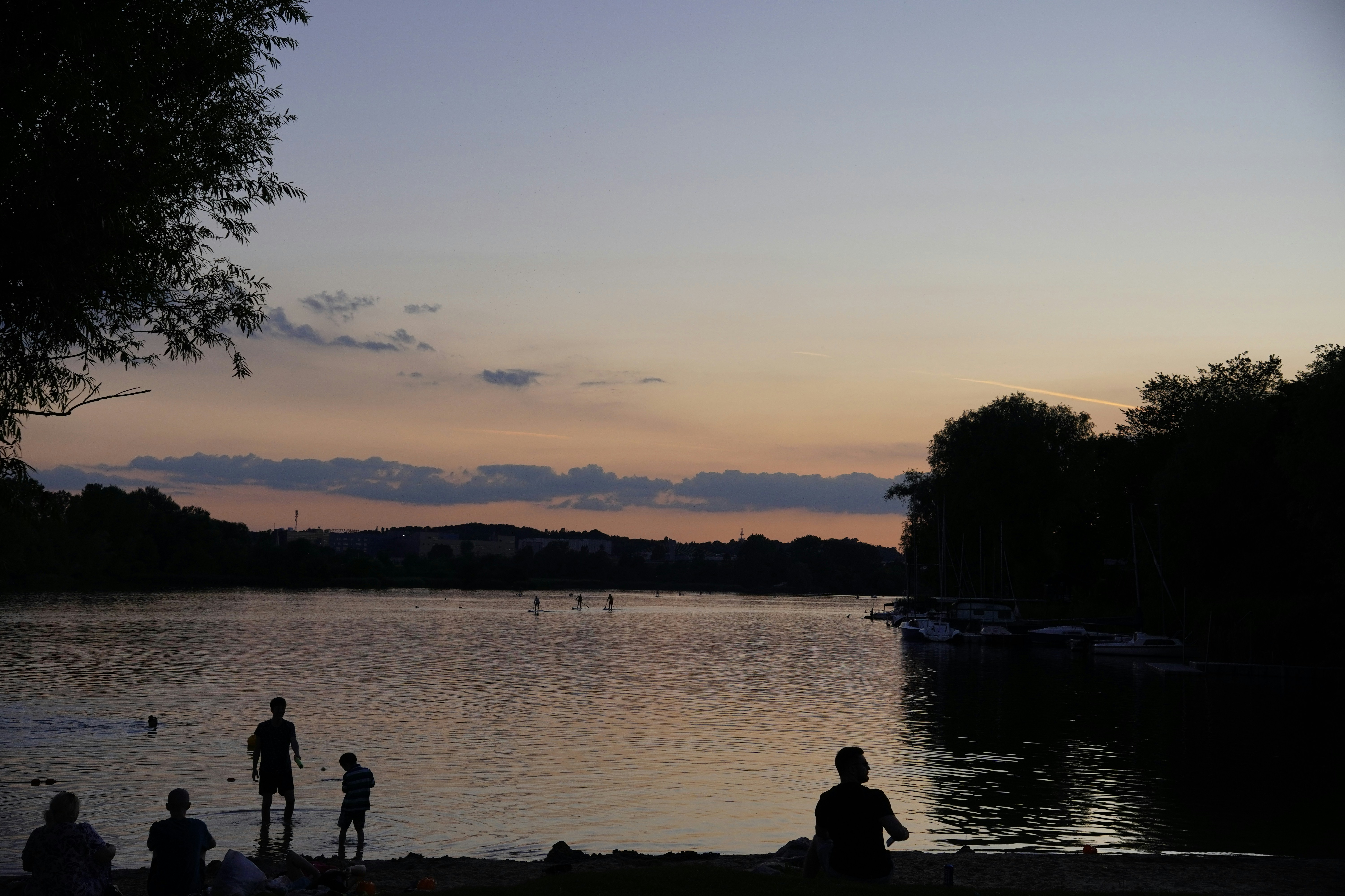 Dusk by the Lake: Quiet silhouettes and fading light