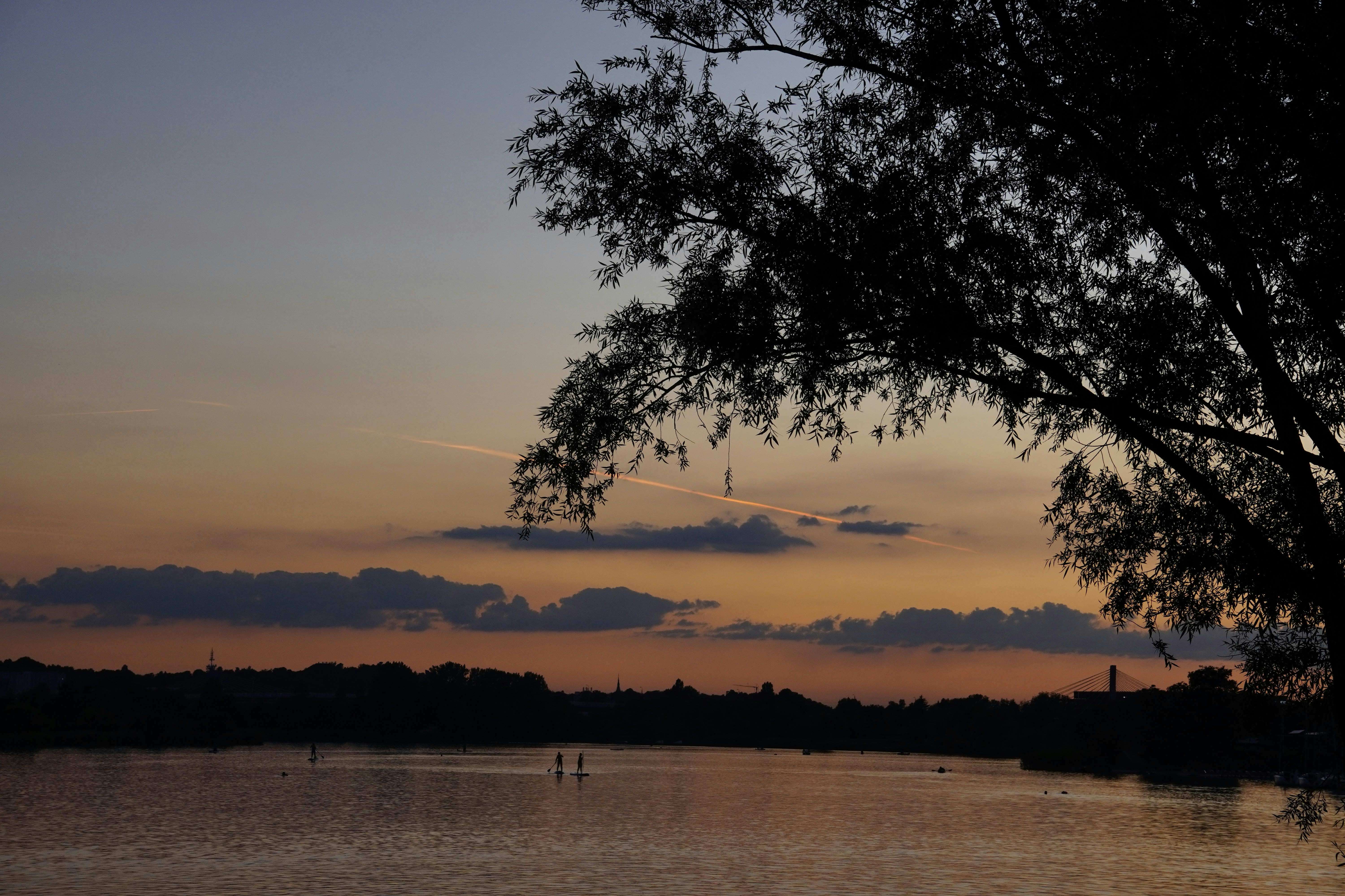 Silhouette at Dusk: Trees Framing a Serene Lake