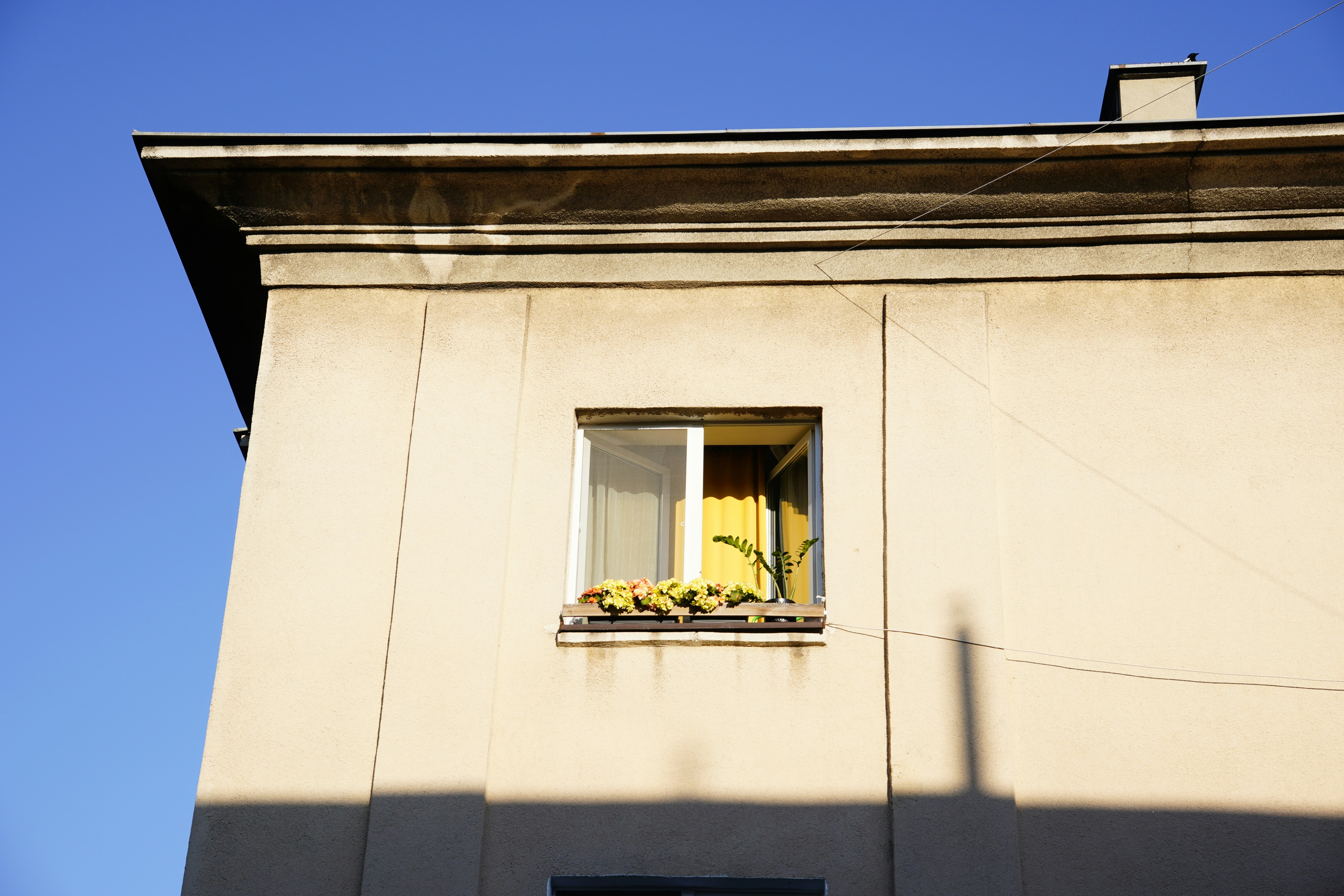 Sunlit Window Box on a Beige Facade Under a Clear Sky