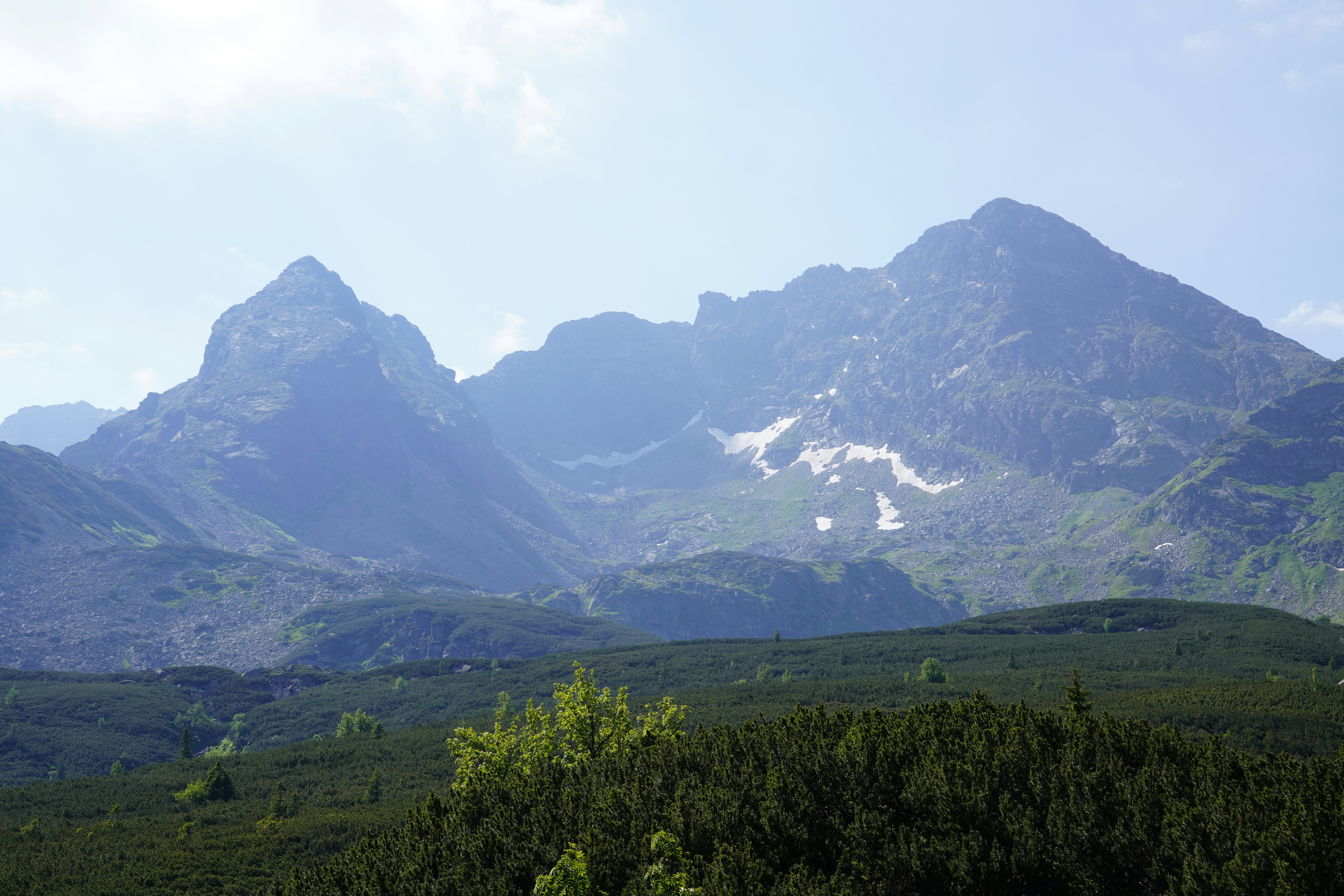 Quiet Giants: Snow-dusted Peaks Over Waving Tundra