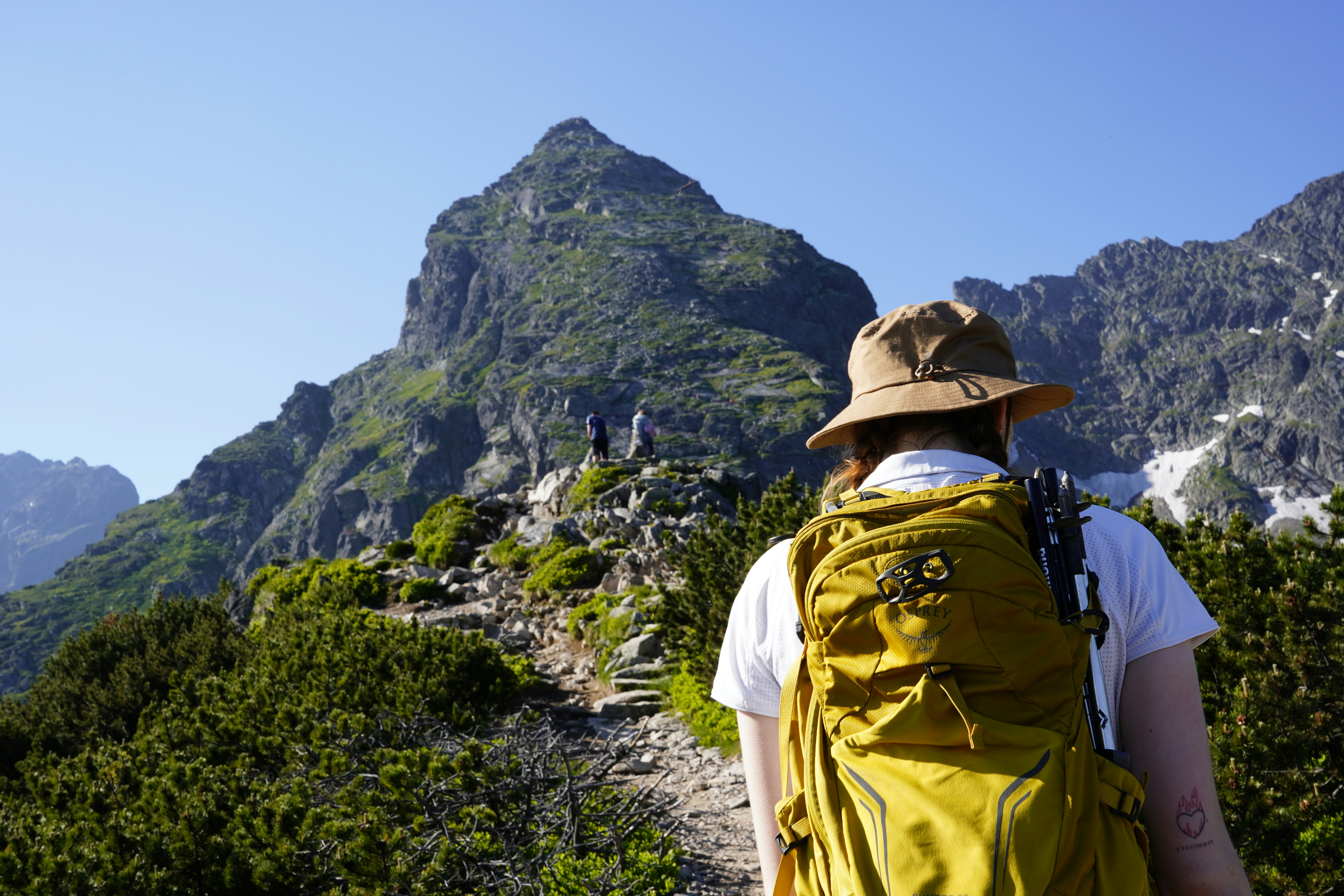 Ridgebound Traveler: Wildbackpack on a Mountain Ascent