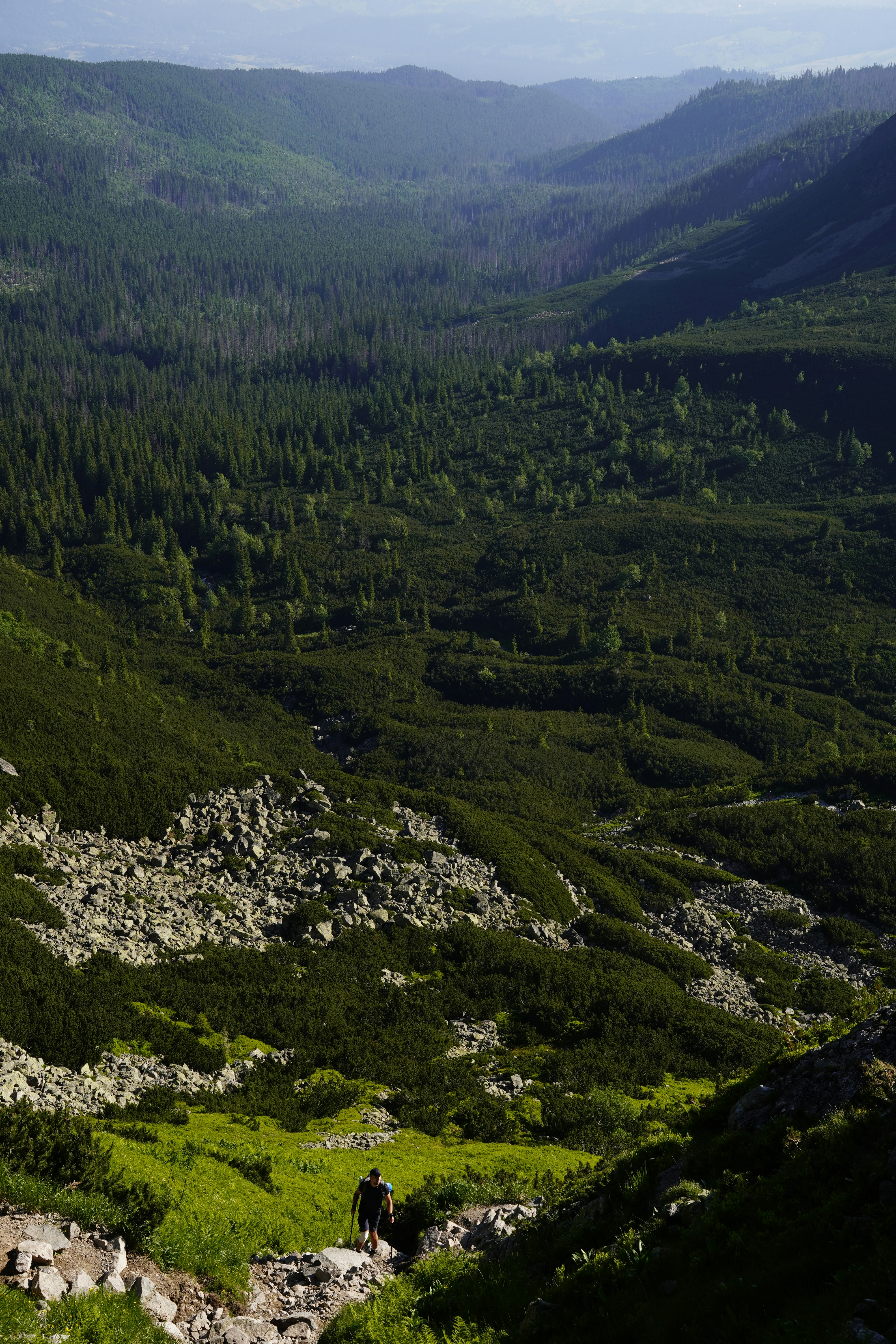 Cliffside Ascent: A Trail Winding Through Alpine Grotto and Pine Plains