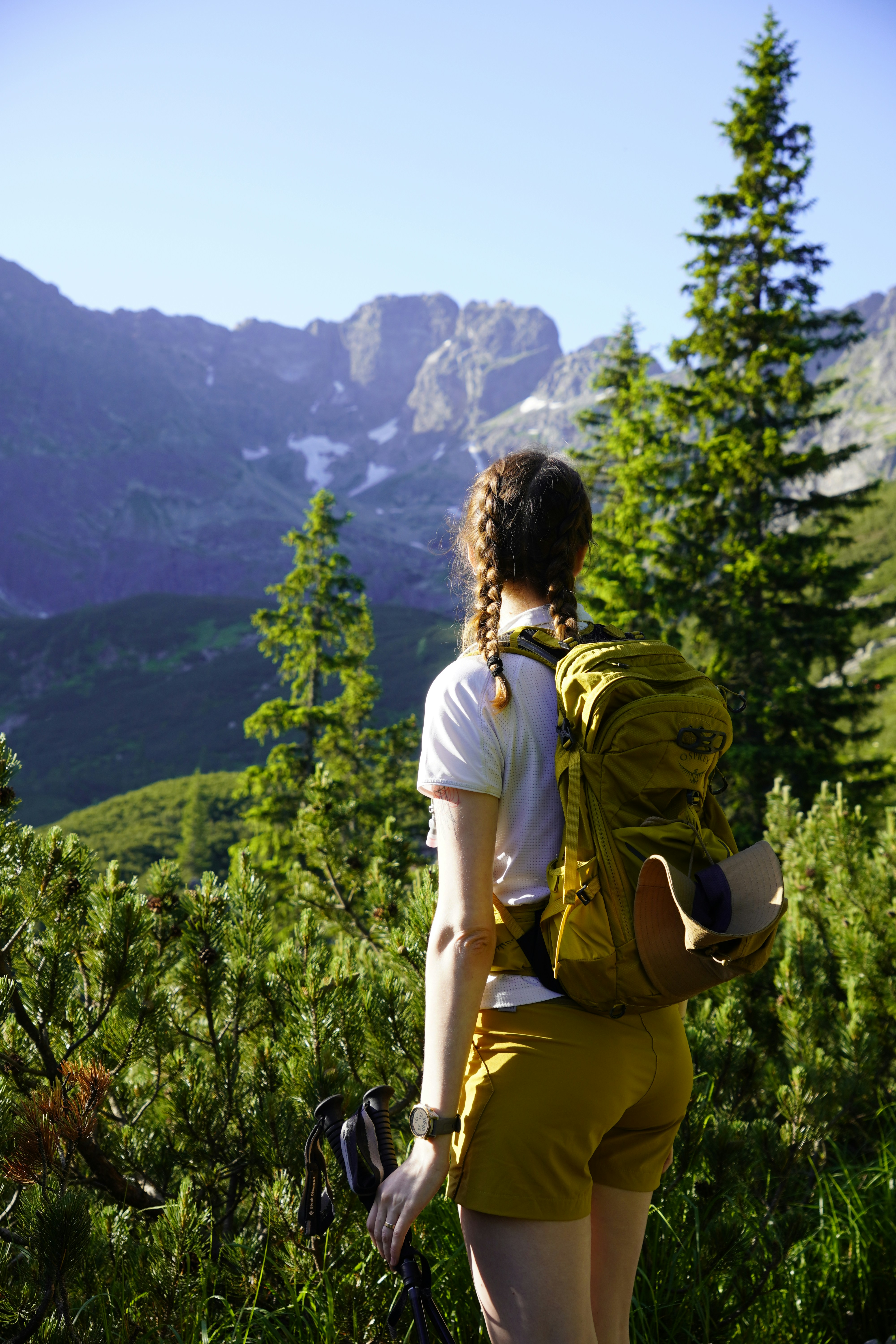 Hiker’s Ascent: Back View Toward Alpine Peaks
