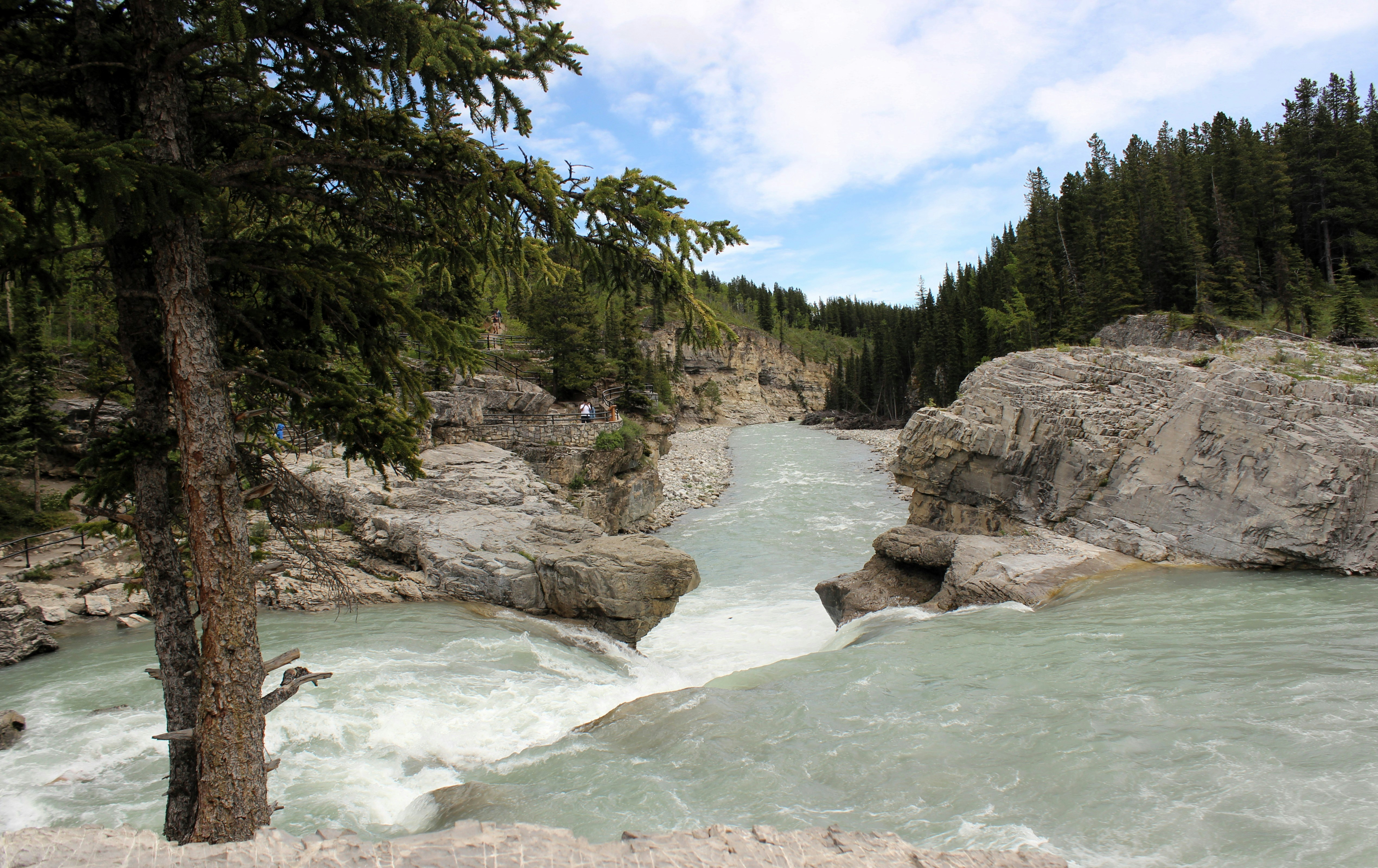Turquoise river carves between rocky cliffs with pine trees overhead; a rugged gorge scene showcasing fast-moving water and exposed rock. This is a landscape photograph capturing the channel and surrounding forest.