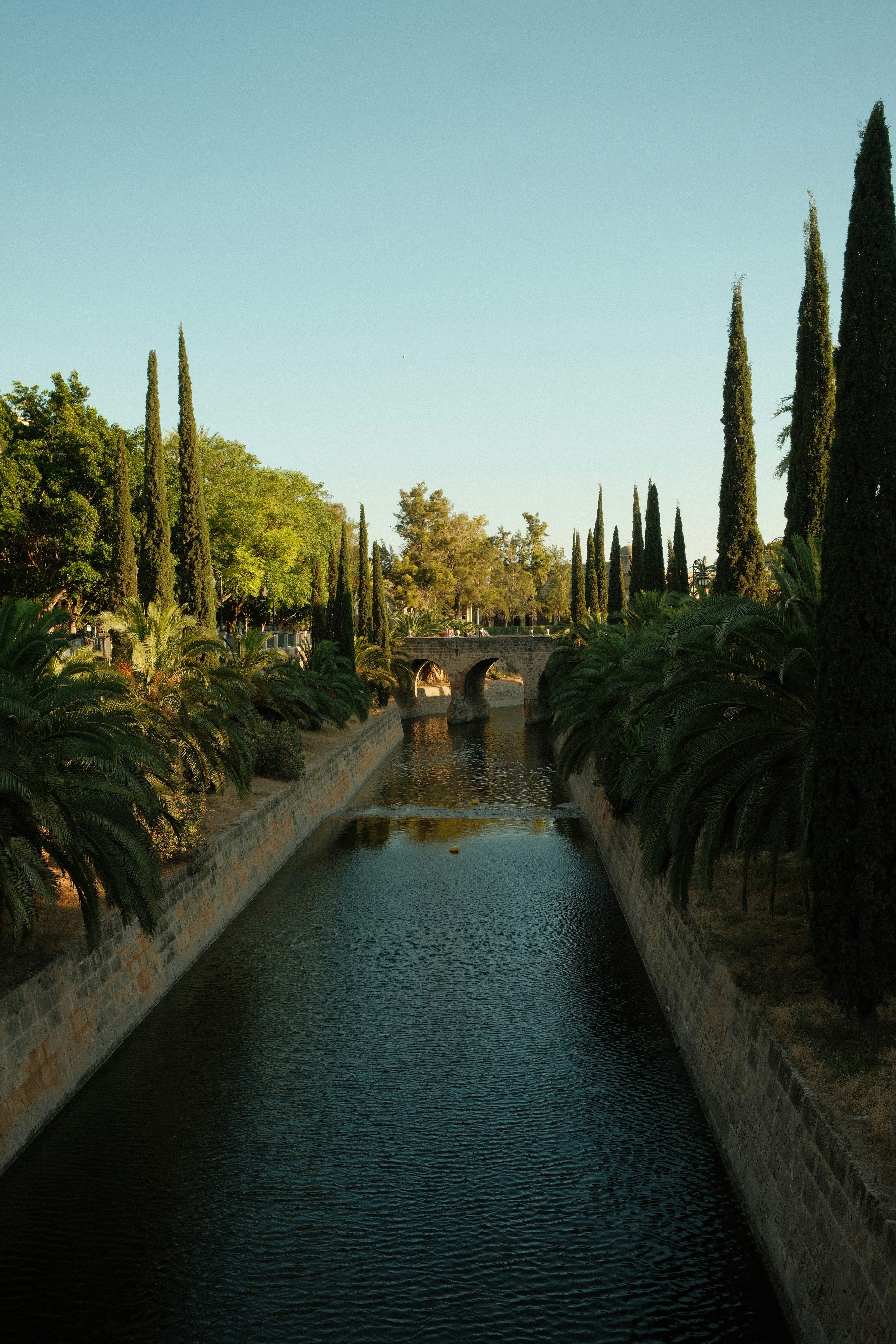 Aquatic Avenue: A Sunlit Canal Framed by Carved Palms